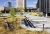 Landscape Architecture — O2