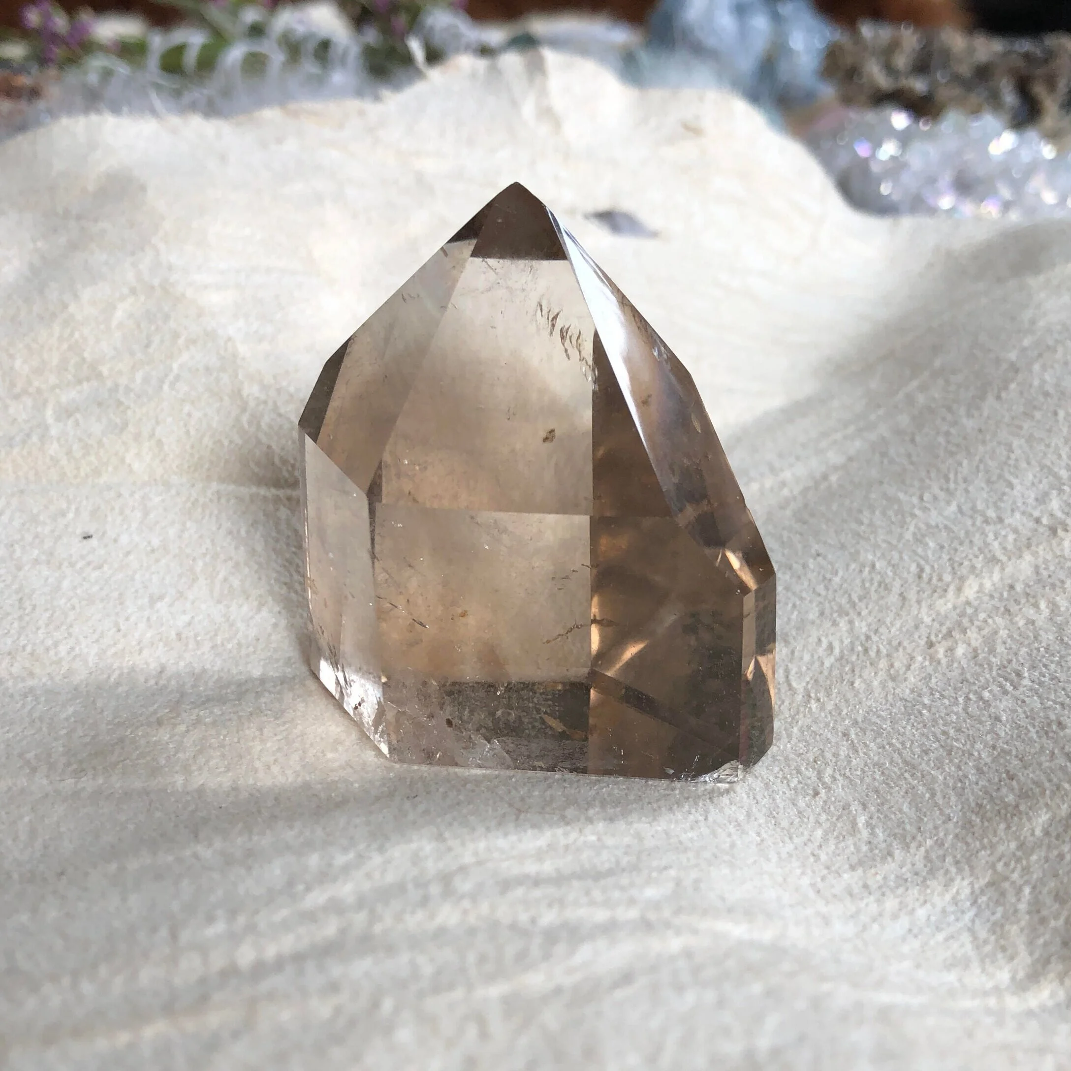 Oracle Natural Science — Oracle Kansas City Taxidermy, Skulls & Natural ...