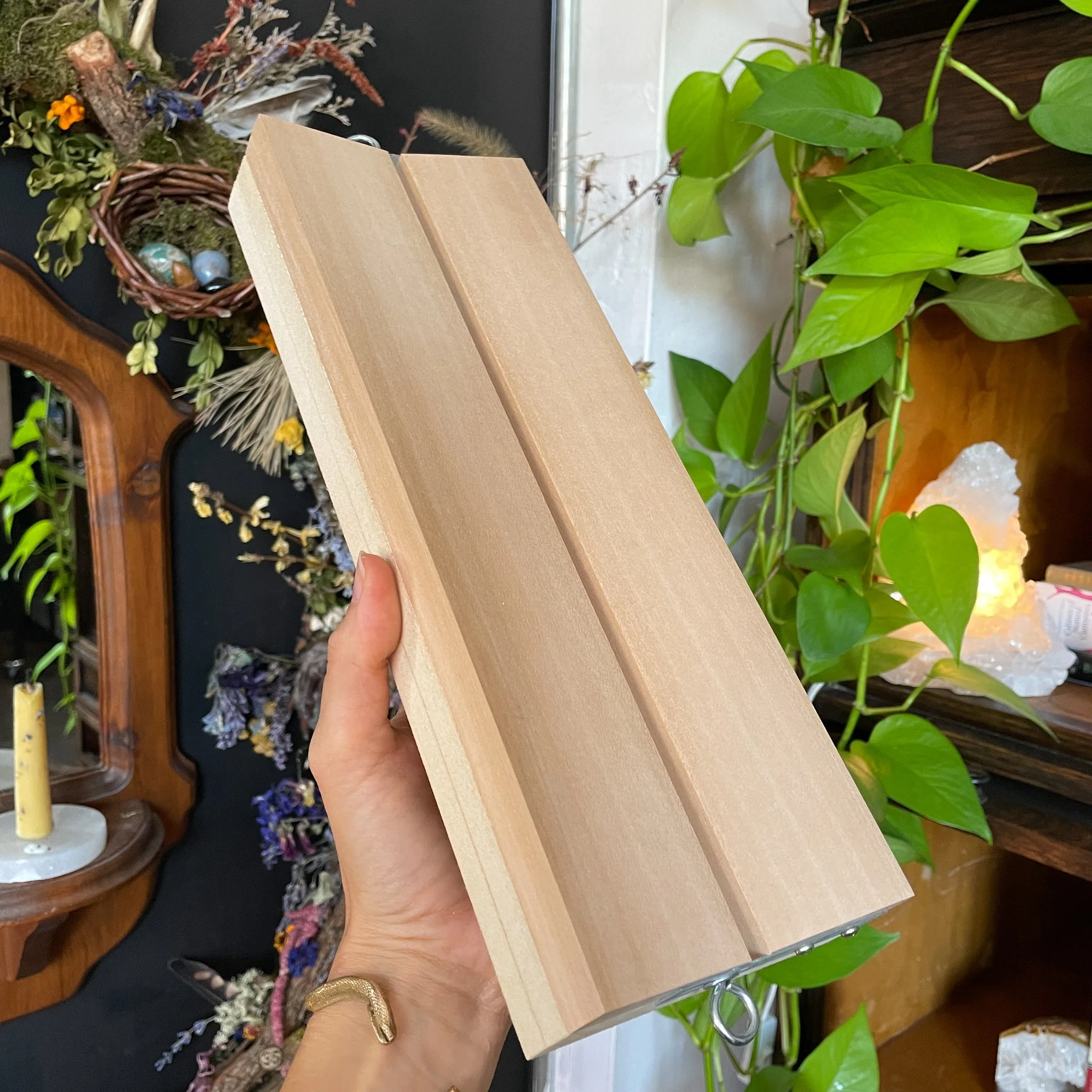 Bug Club — Oracle Natural Science