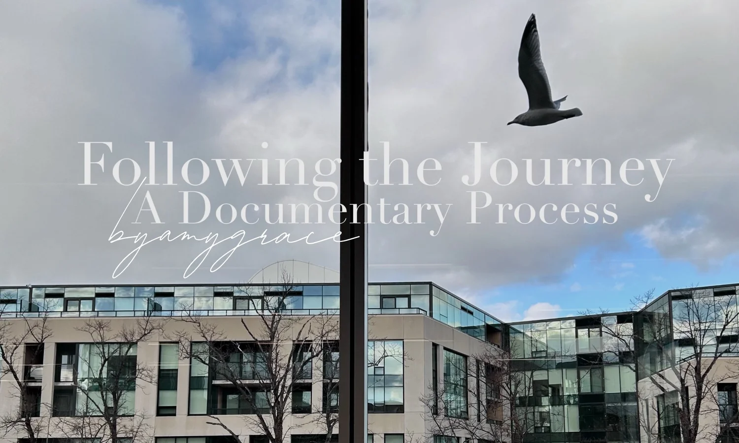 journal | by Amy Grace