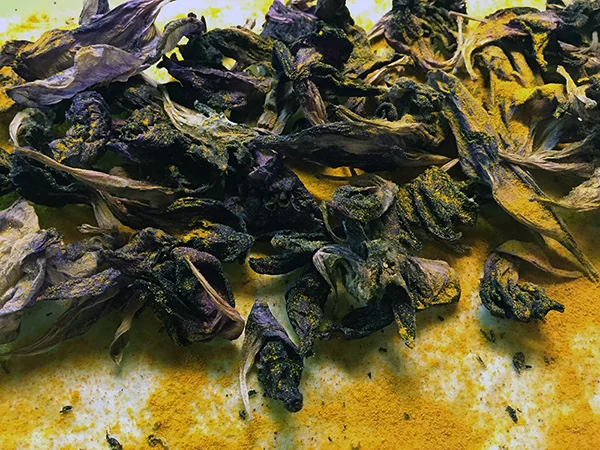Eco-Dye — Morna Crites-Moore