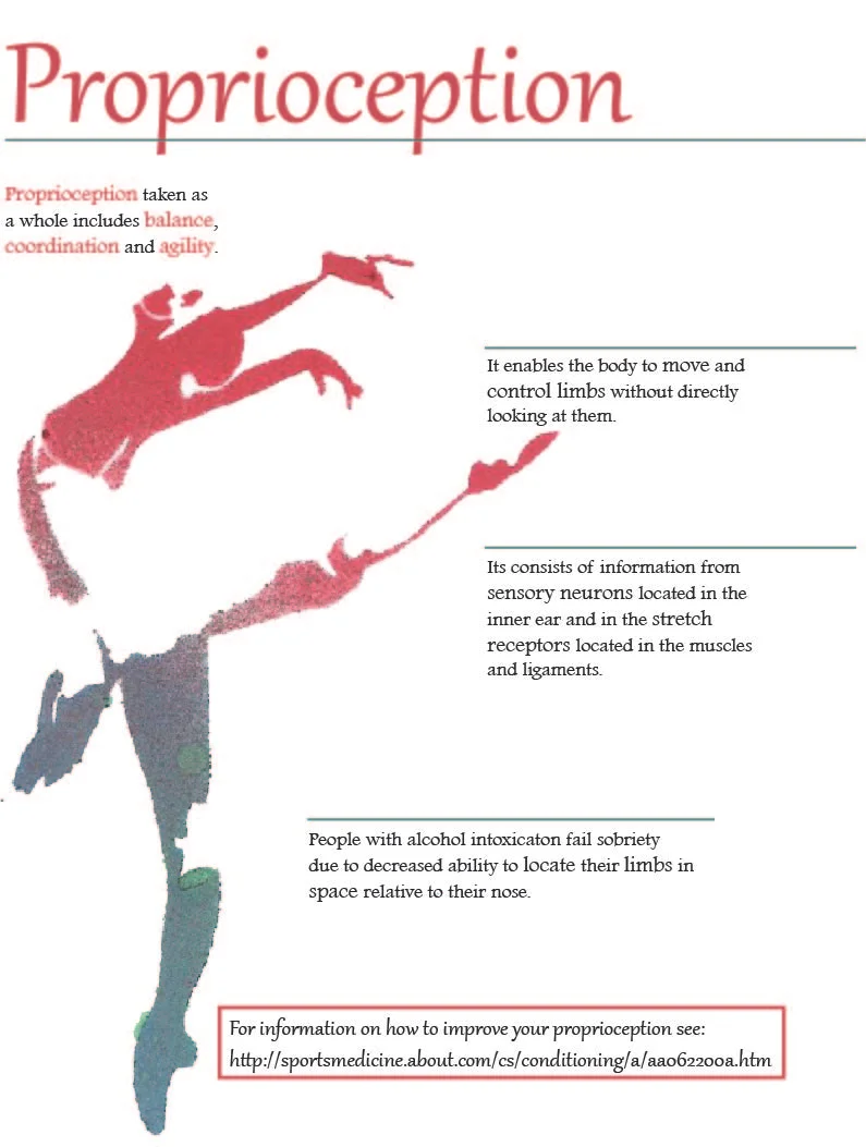 Proprioception, Kinesthesia, and the Conscious Competency Matrix ...