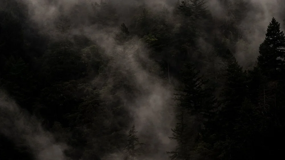 North Woods — Scott Ordway