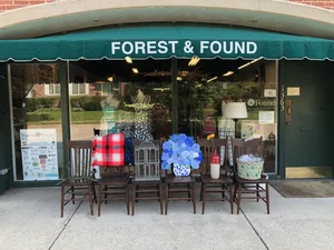 Forest & Found