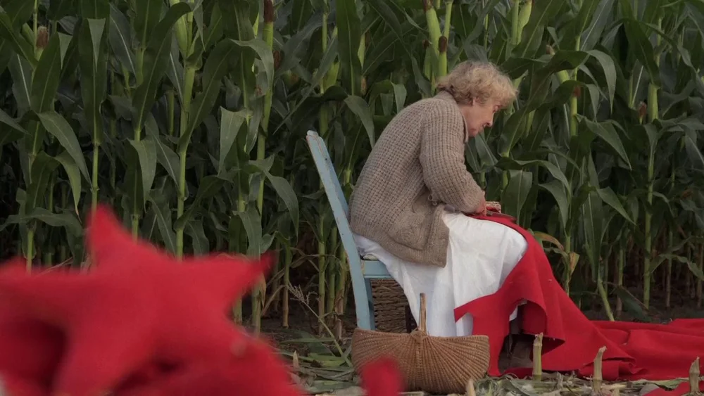 The Pile — Jonas N.T. Becker