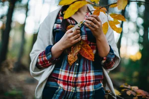 Final Days of Colorful Autumn | VSCO Film 06 Preview | Asheville, NC ...