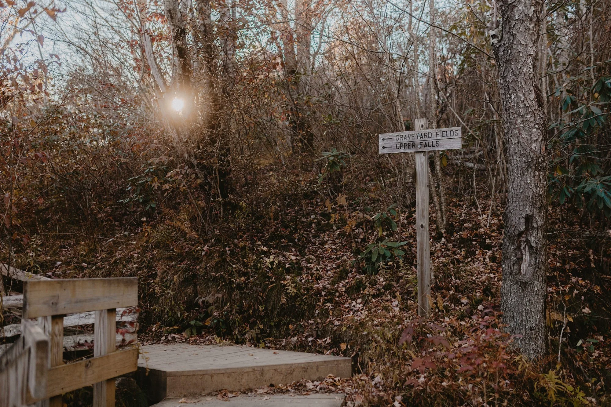 Fall Engagement Photos for Couples in Asheville, NC on the Blue Ridge ...