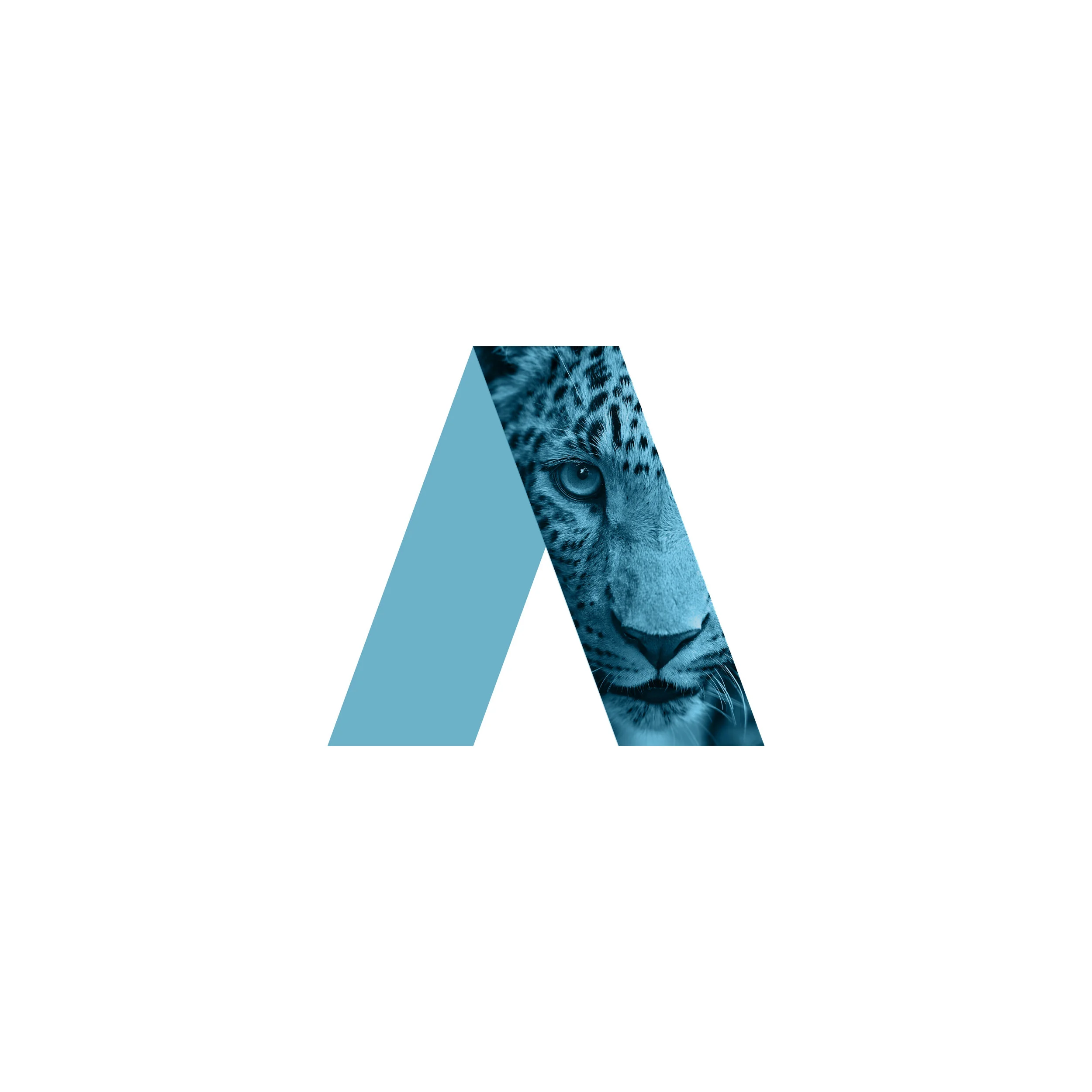 Animal Matters Animal Rights Brand Identity & Campaign Design — The ...