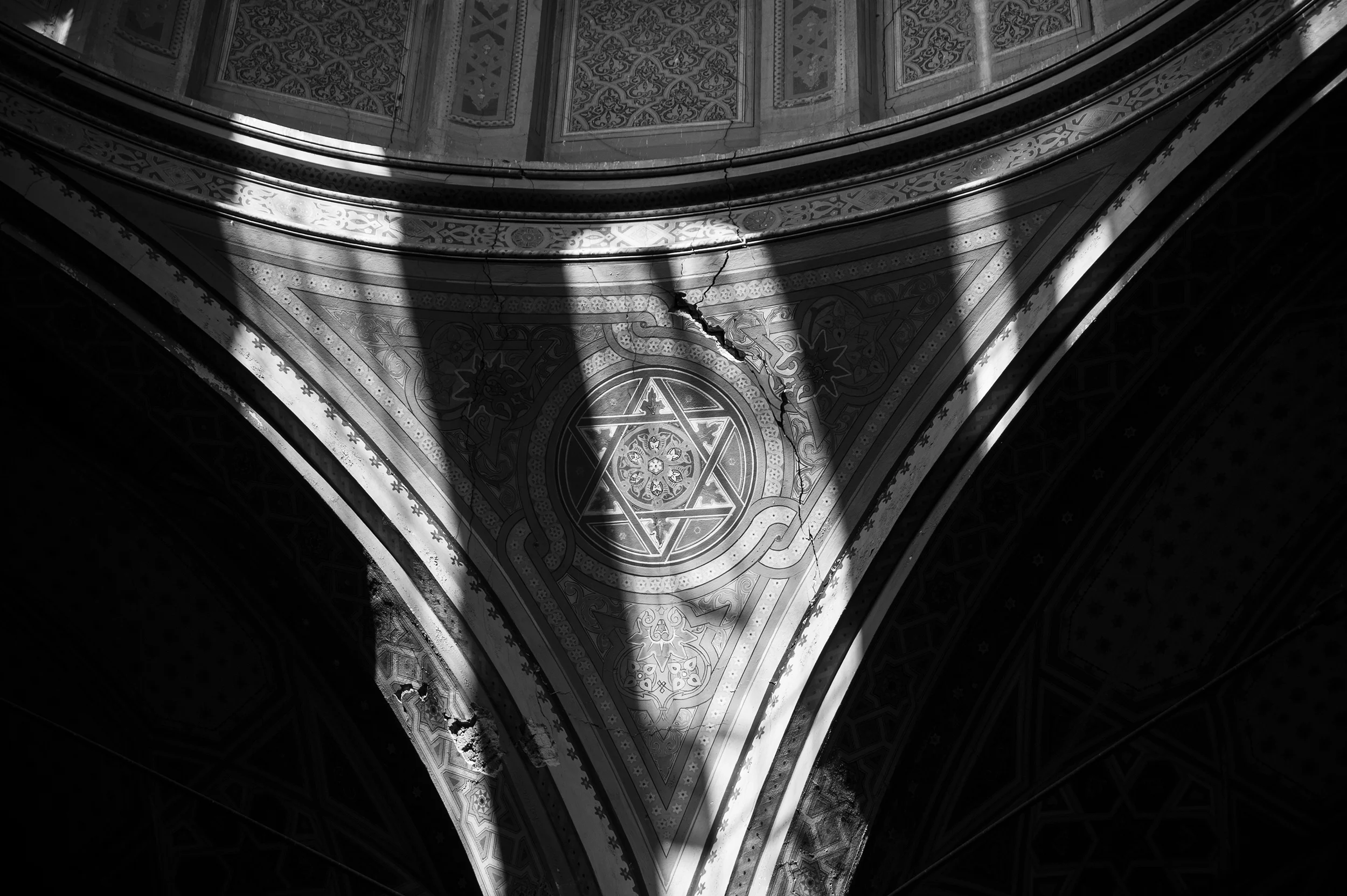 THE JEWS OF ORADEA — Daniel Owen