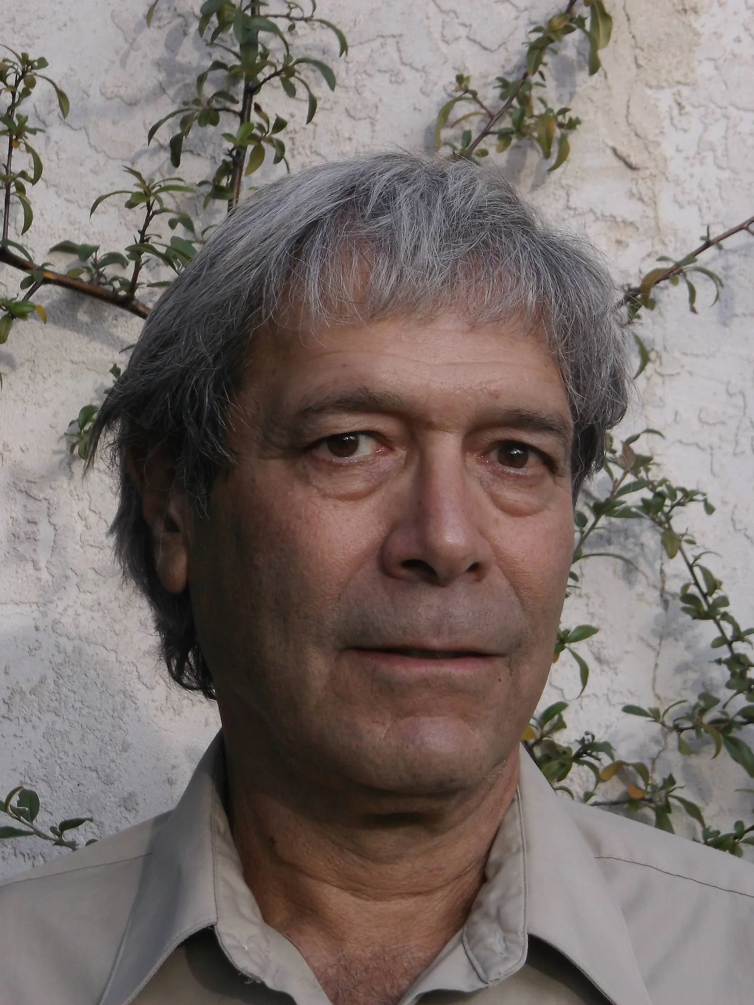 Board of Directors — E-Tech International