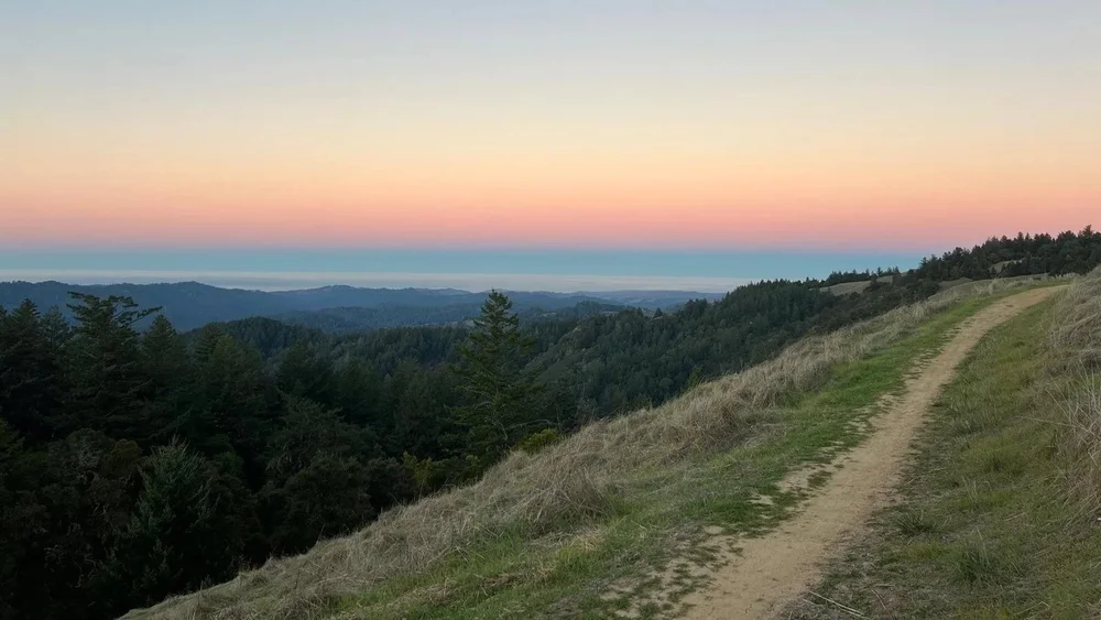 A Year in Reflection — Jikoji Zen Center