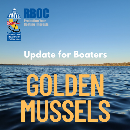 New Quarantine Requirements in Effect to Prevent Golden Mussel ...