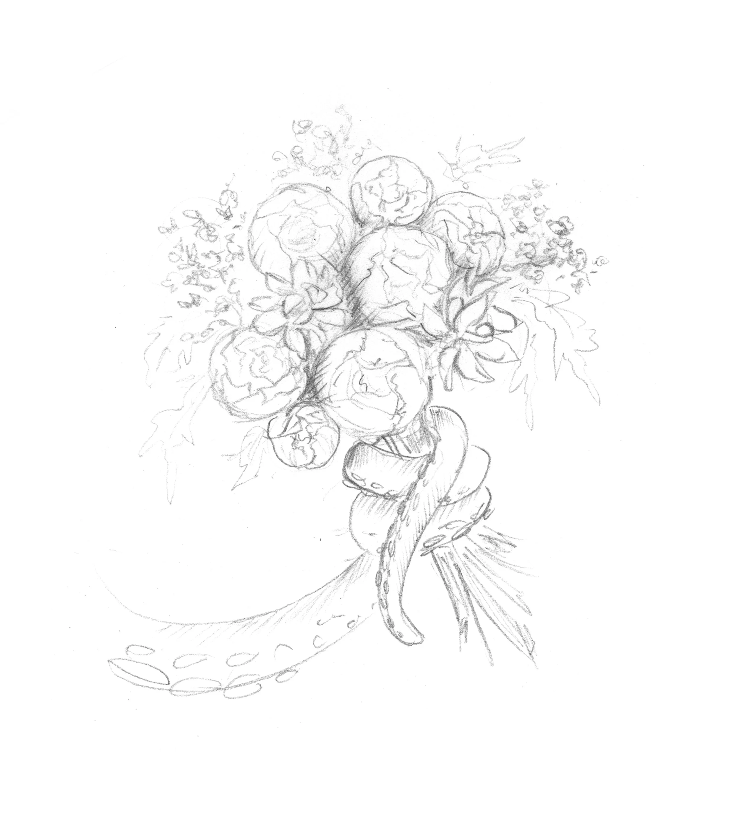 Illustration — Joanna Reynolds Design