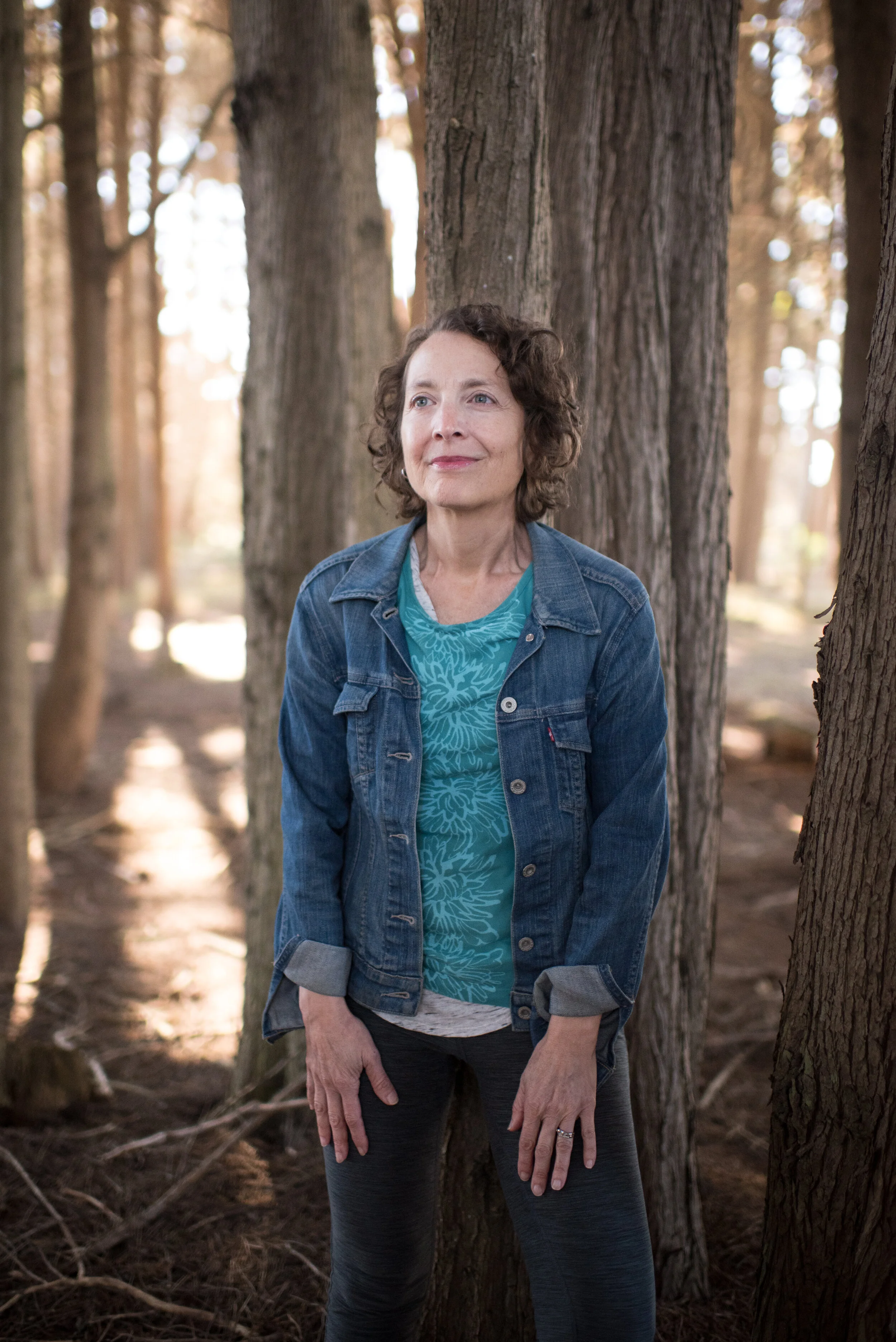 Vestibular Bloom — Hillary Goidell