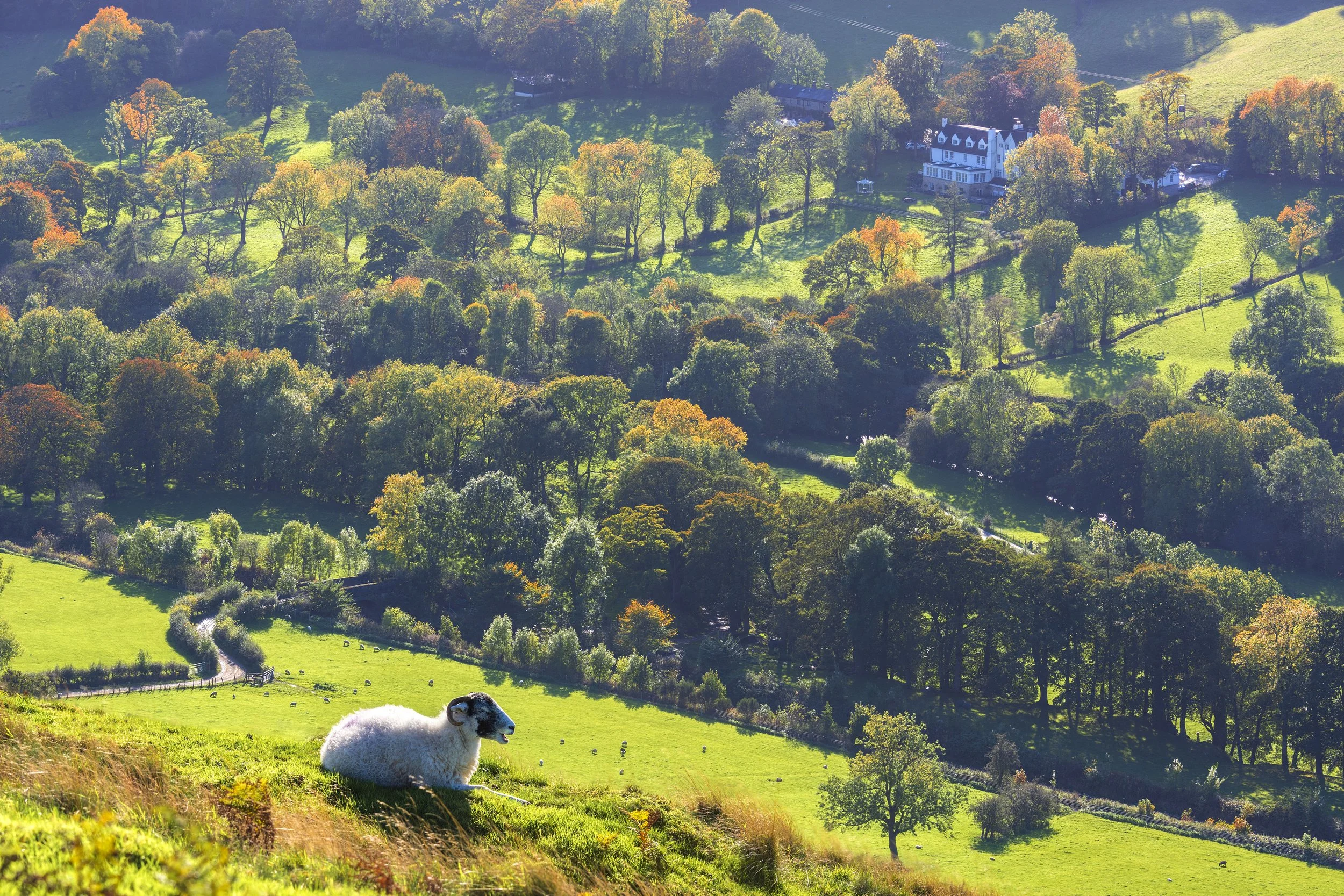 Losehill House Hotel and Spa