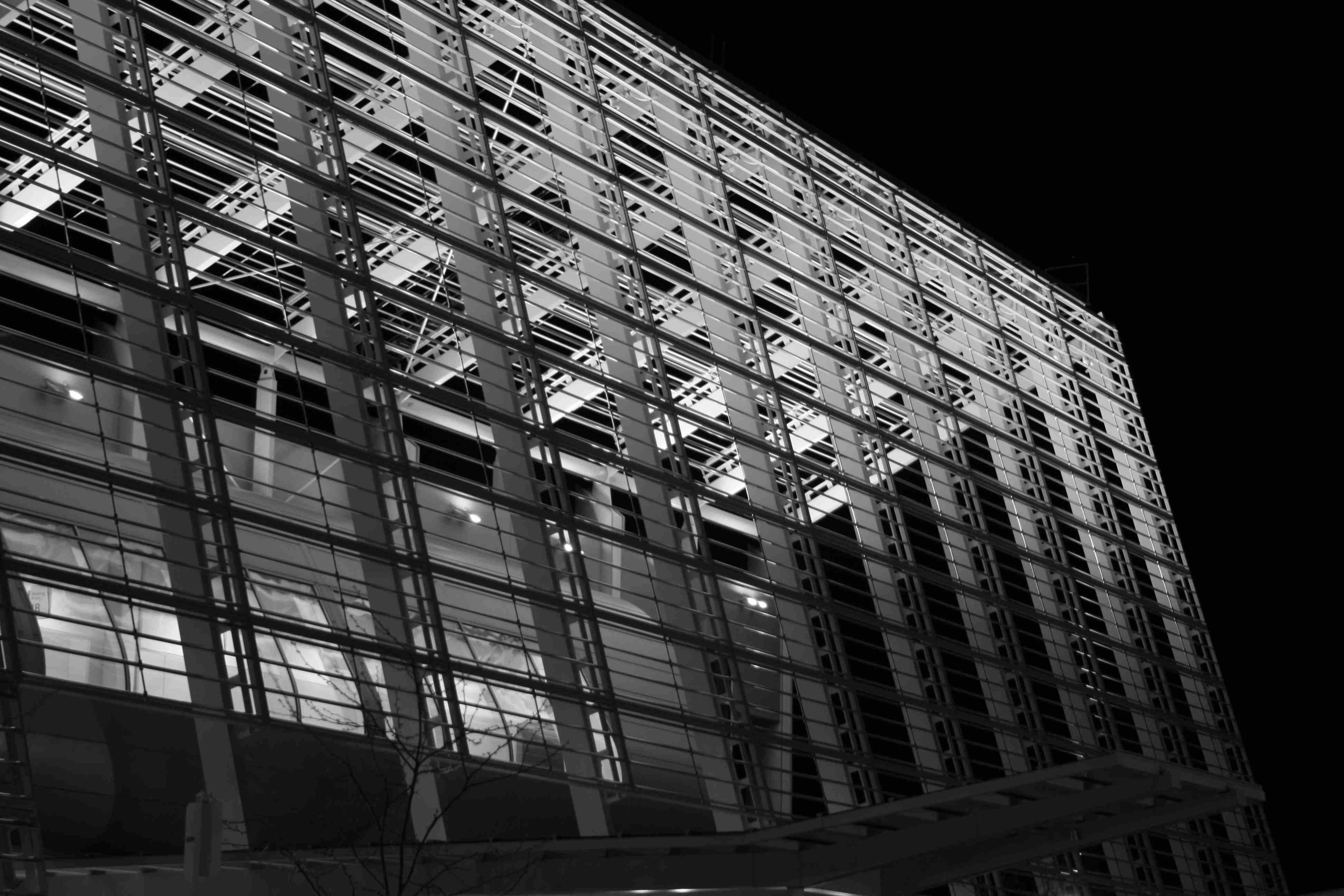 abstractions — DAVID BRASHEAR