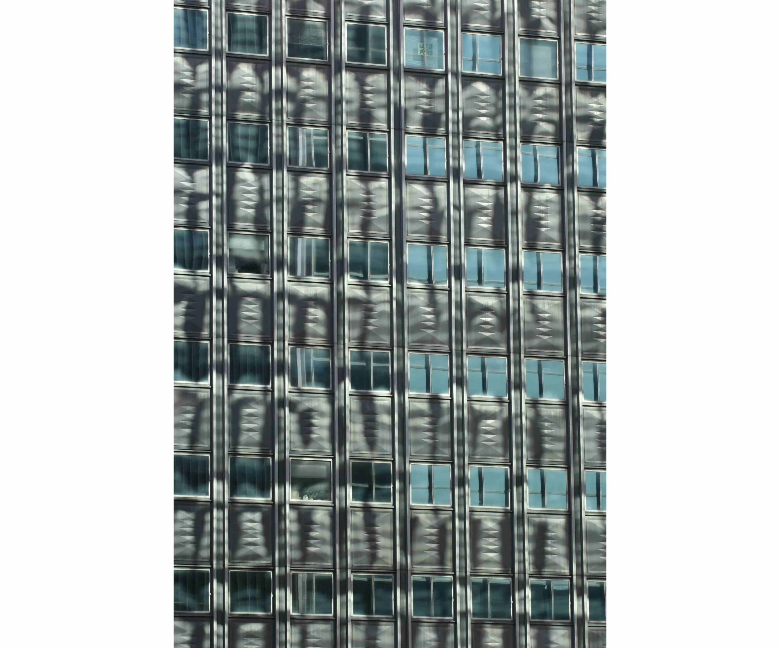 architexture — DAVID BRASHEAR