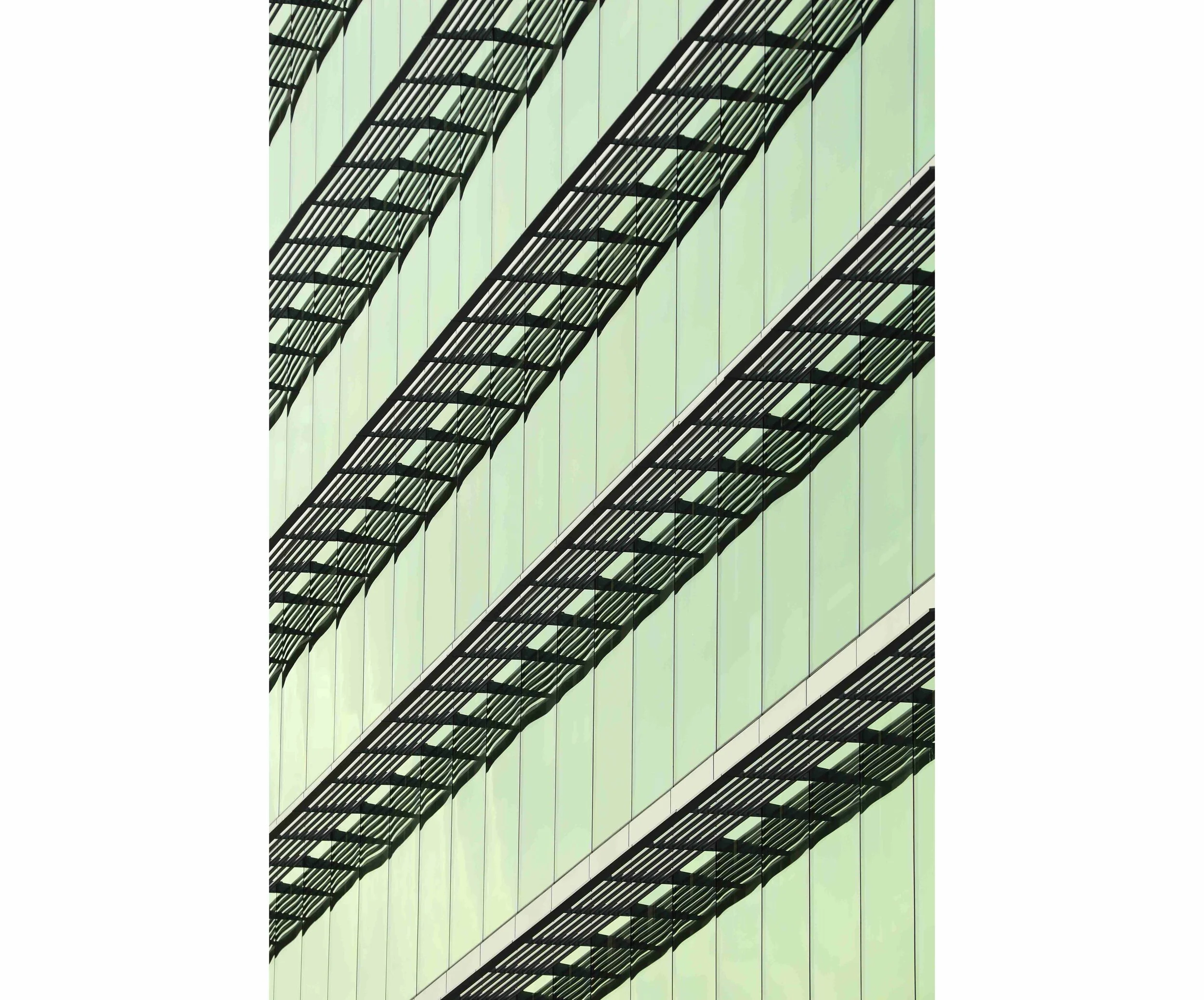 abstractions — DAVID BRASHEAR