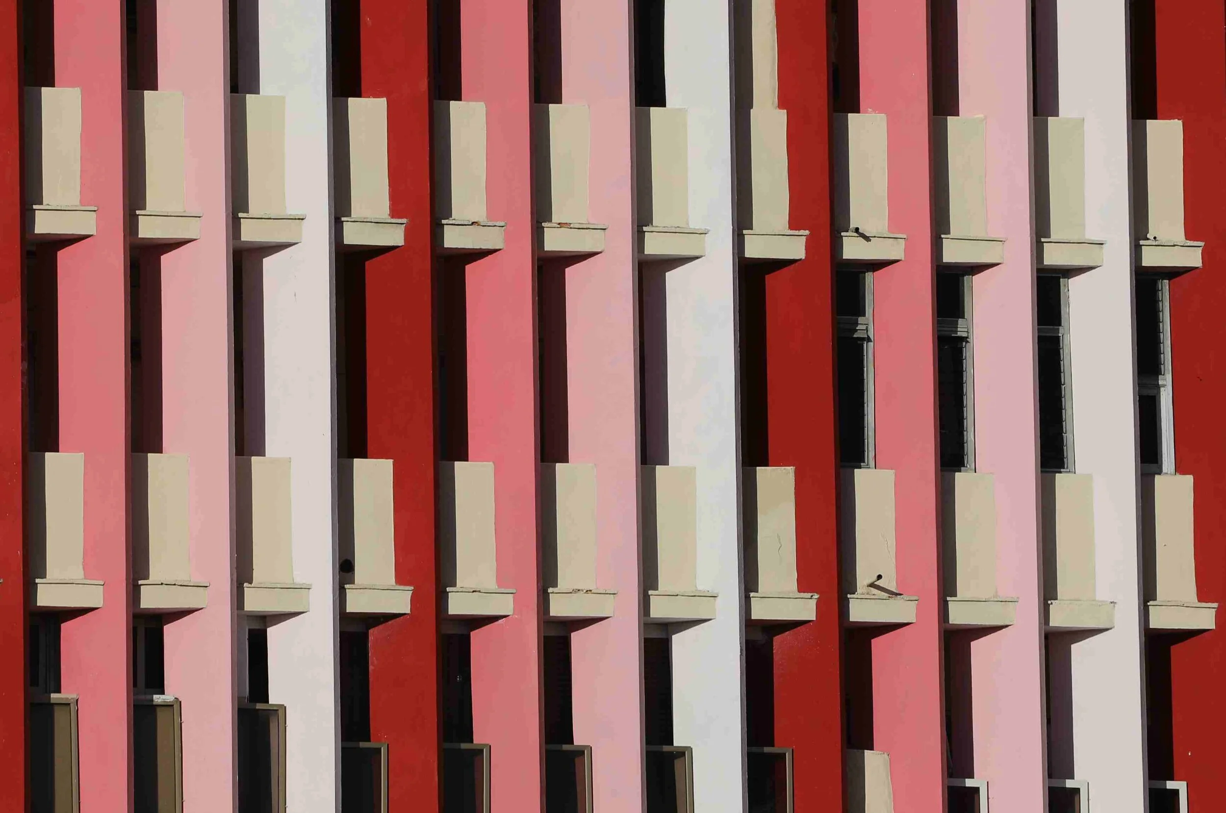 Exhibitions — DAVID BRASHEAR