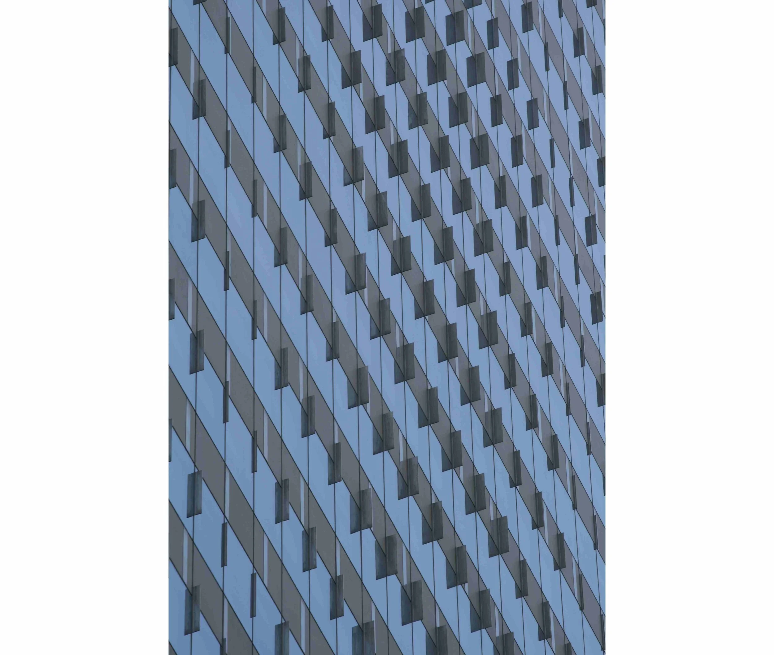 Exhibitions — DAVID BRASHEAR