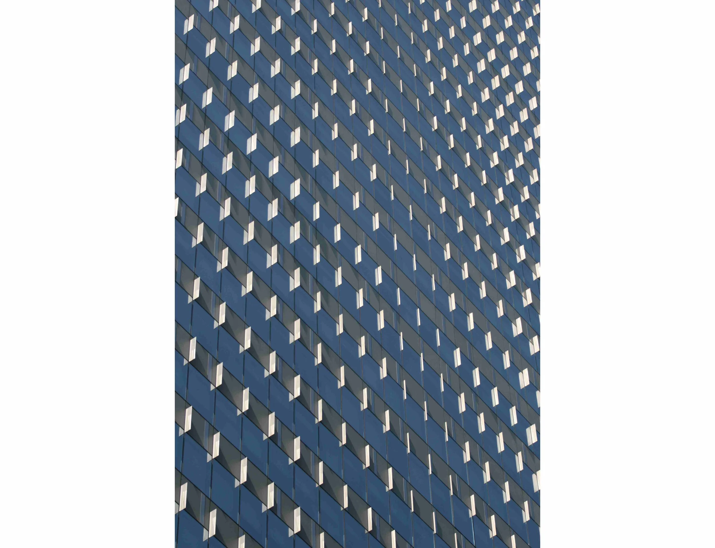 Exhibitions — DAVID BRASHEAR