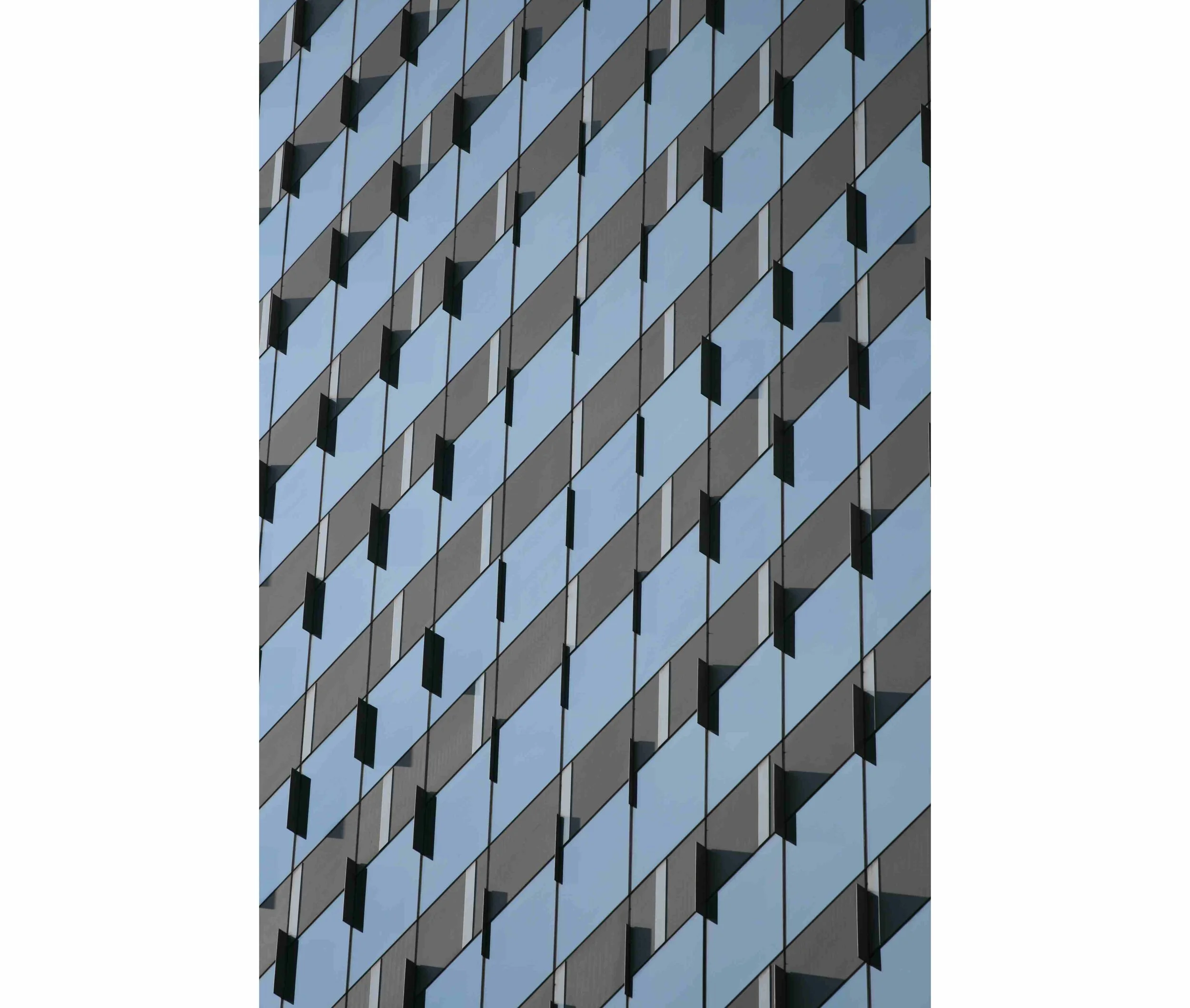 Exhibitions — DAVID BRASHEAR