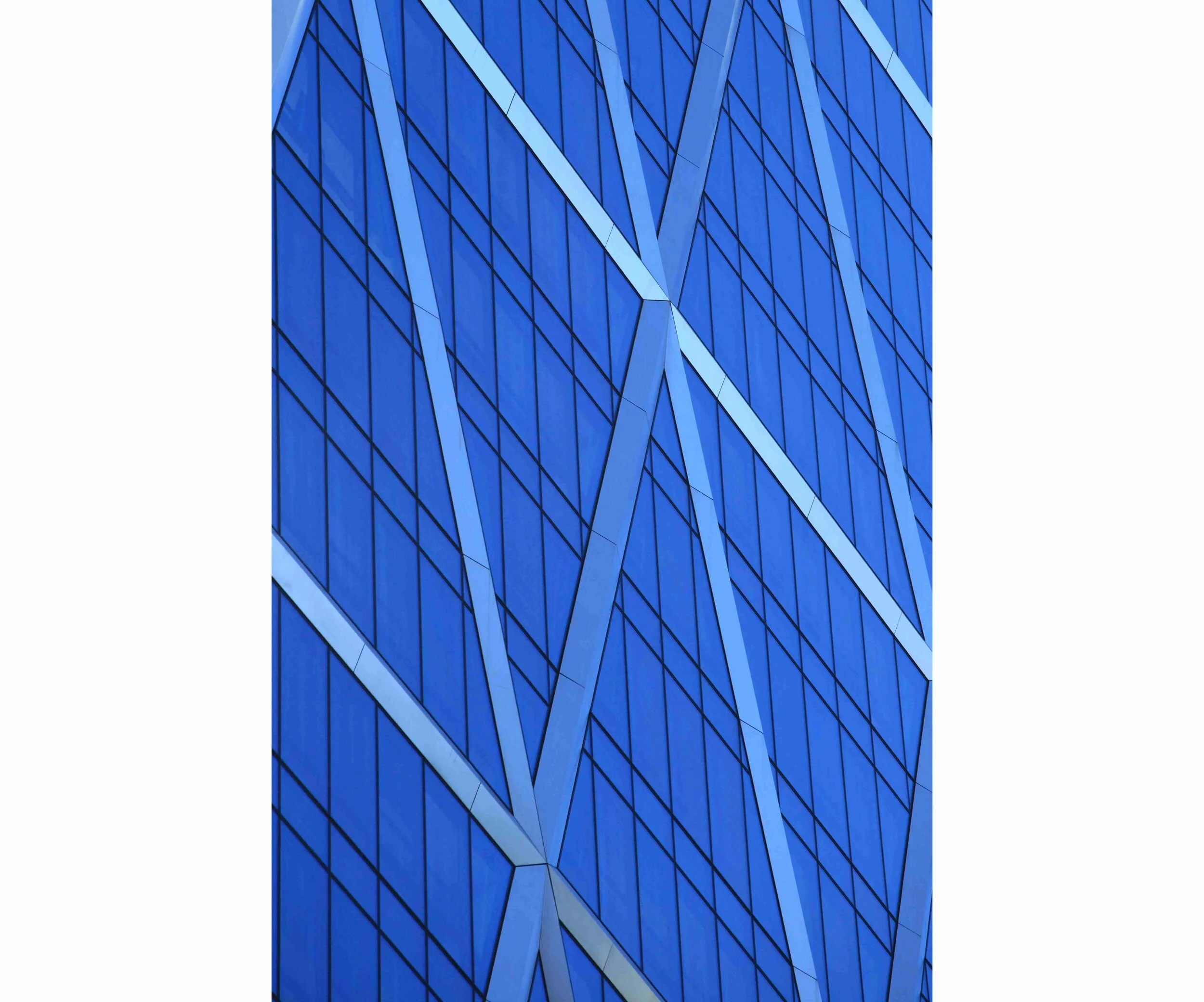 Exhibitions — DAVID BRASHEAR