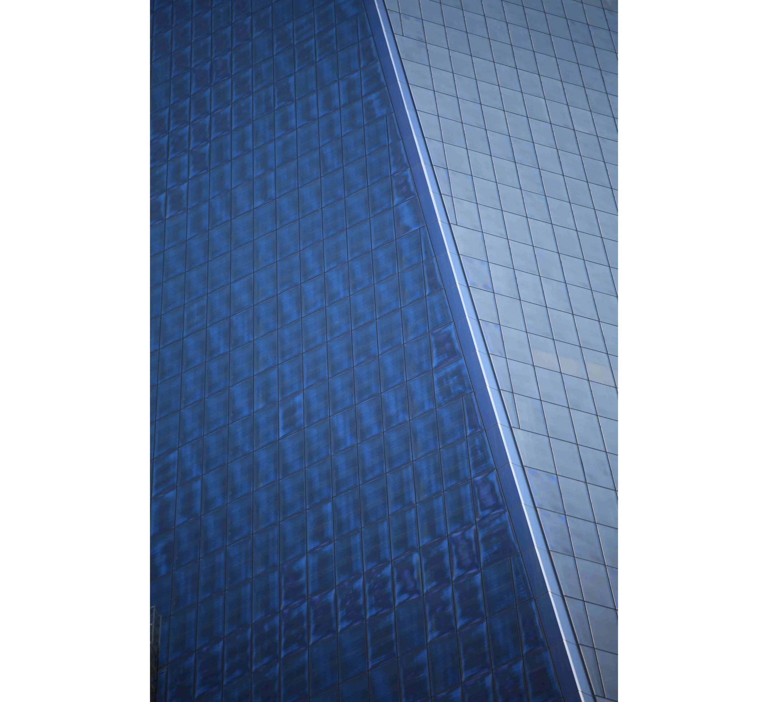 Exhibitions — DAVID BRASHEAR