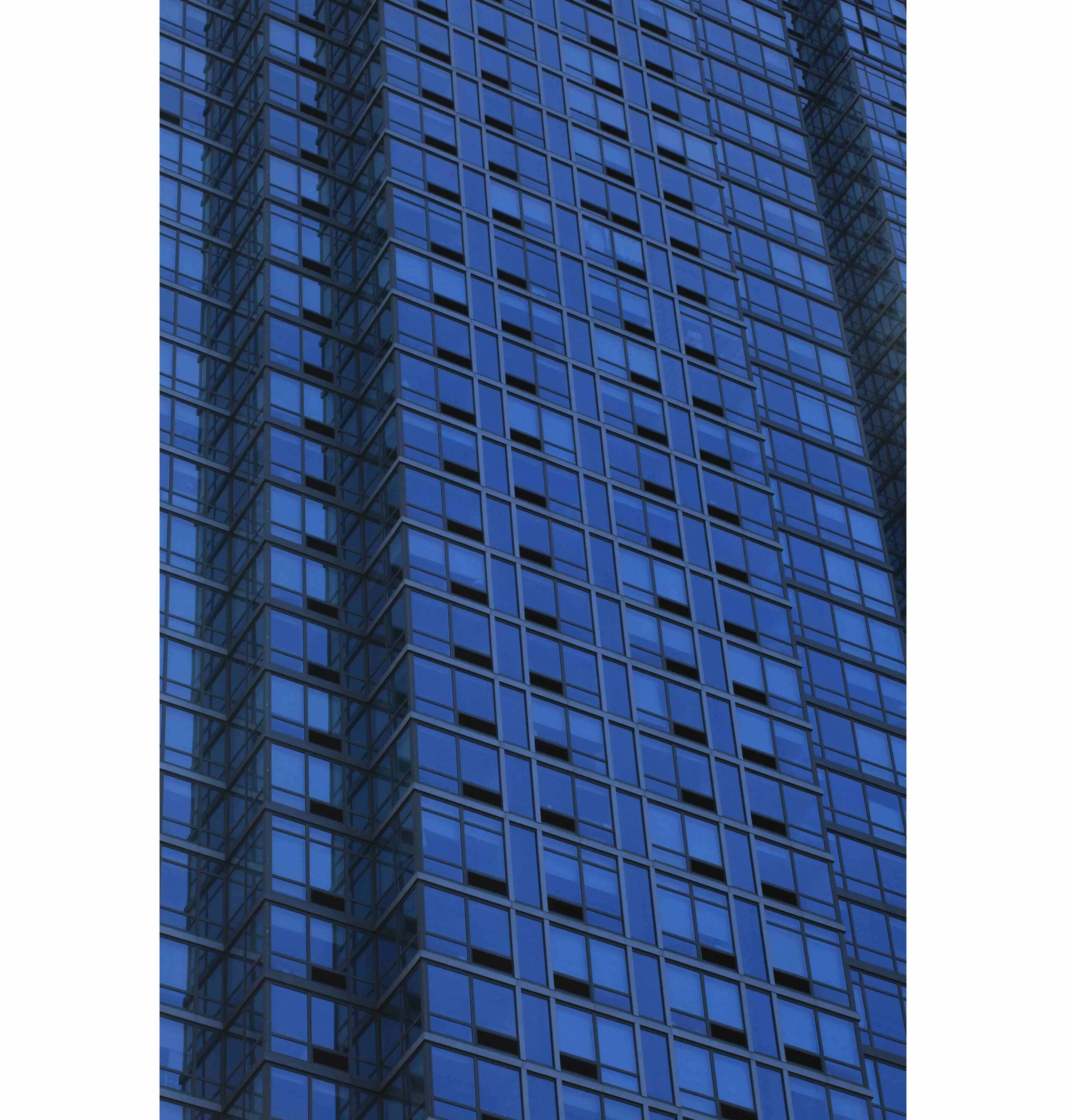 Exhibitions — DAVID BRASHEAR