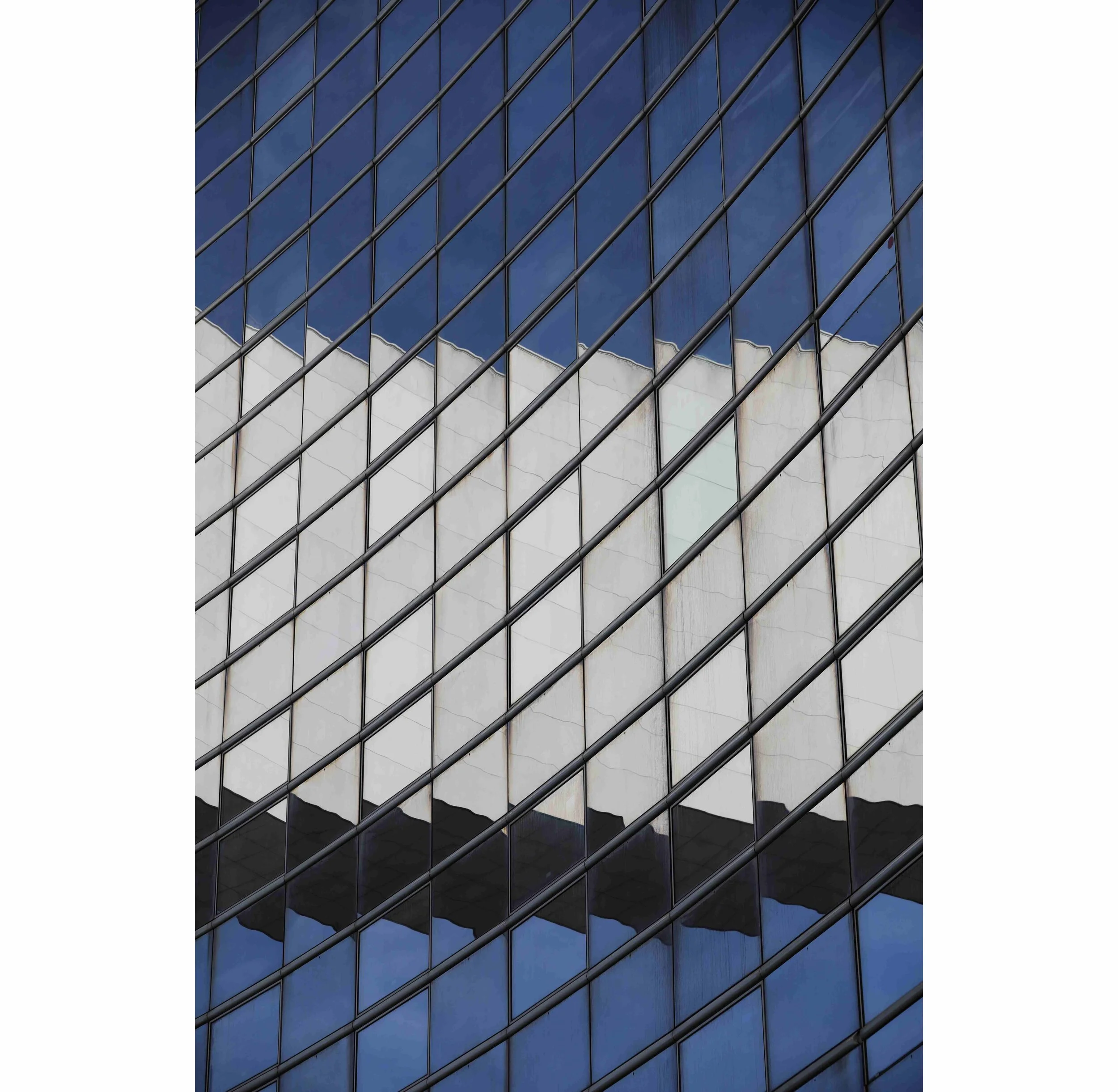 Exhibitions — DAVID BRASHEAR