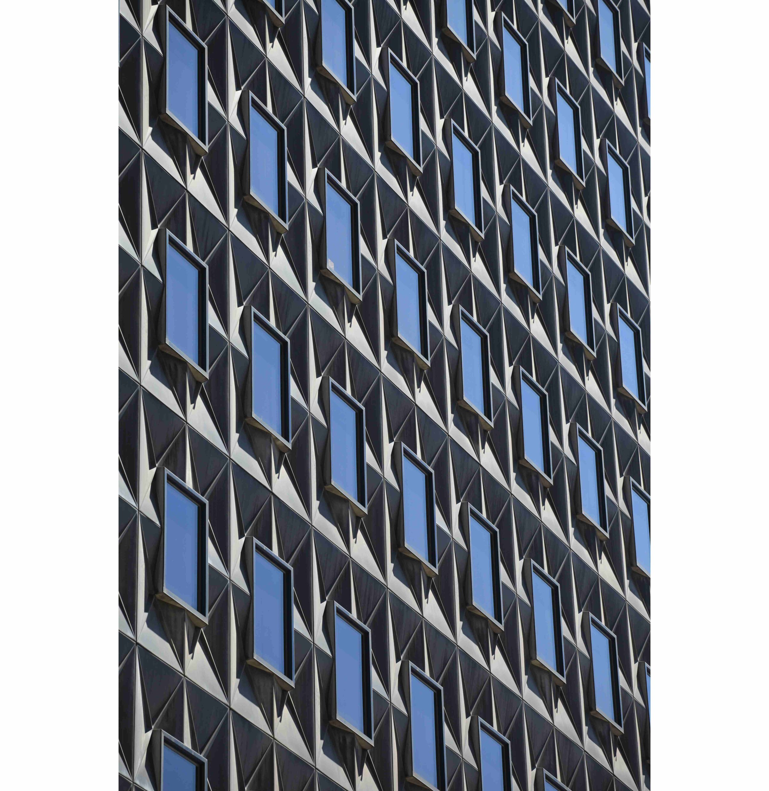 Exhibitions — DAVID BRASHEAR