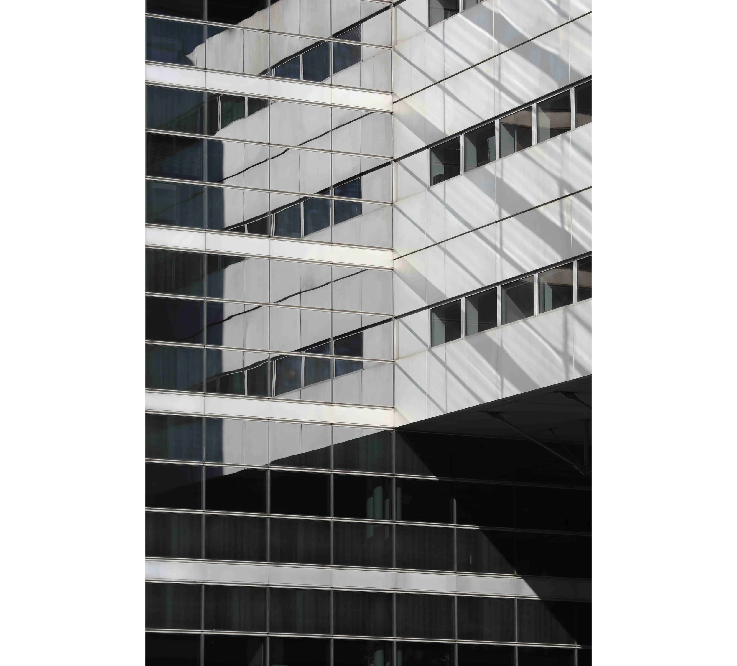 Exhibitions — DAVID BRASHEAR