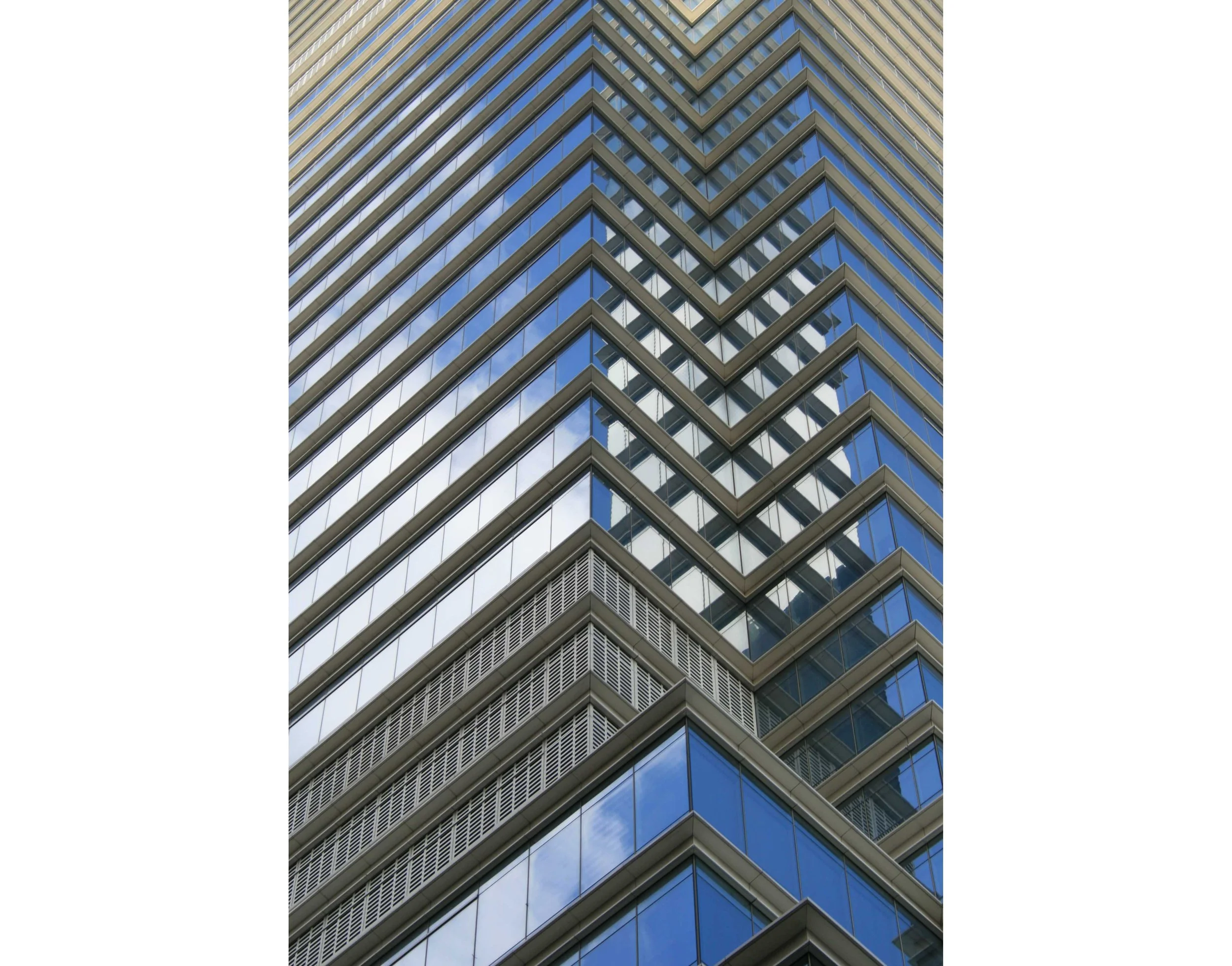 Exhibitions — DAVID BRASHEAR