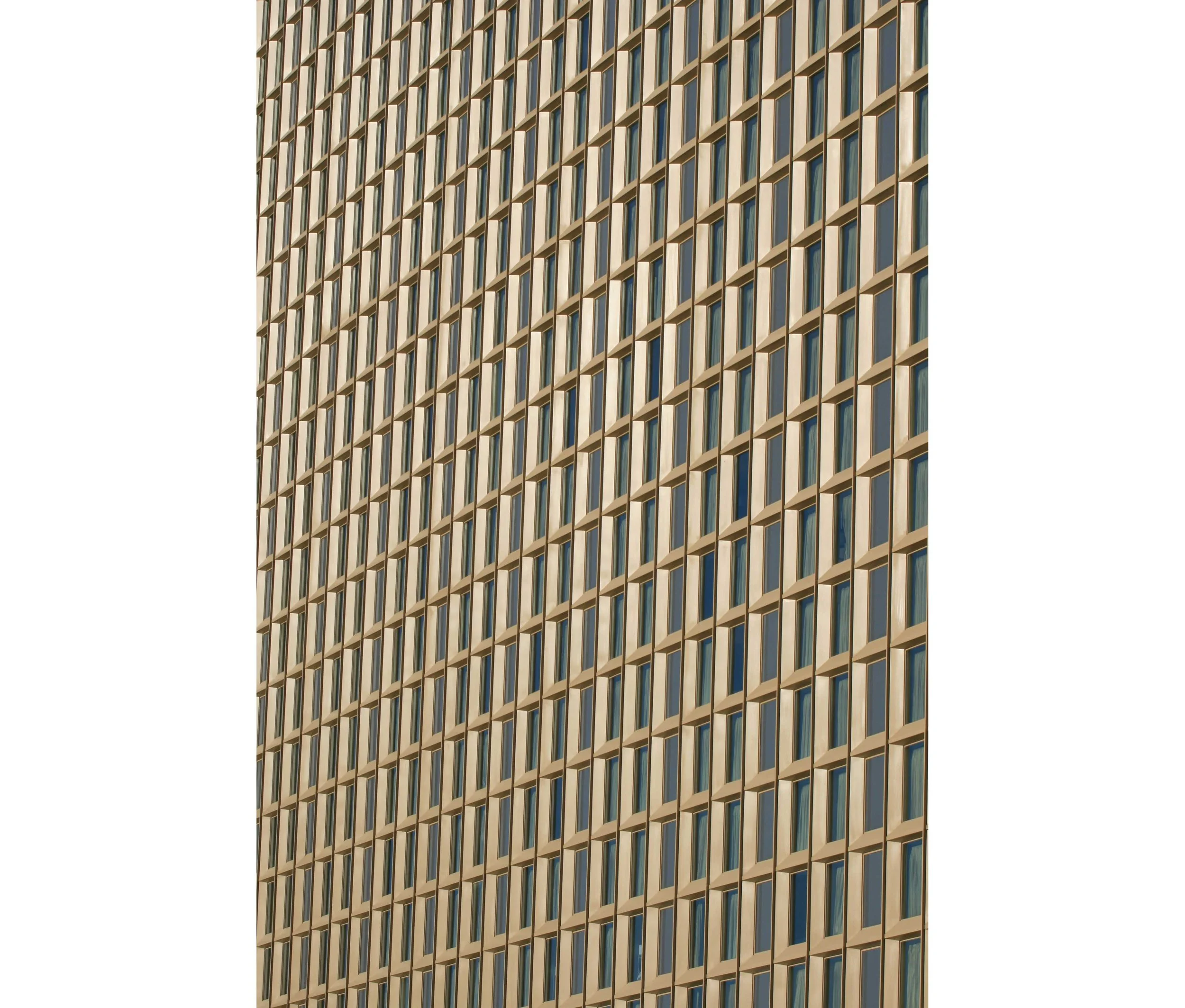 Exhibitions — DAVID BRASHEAR