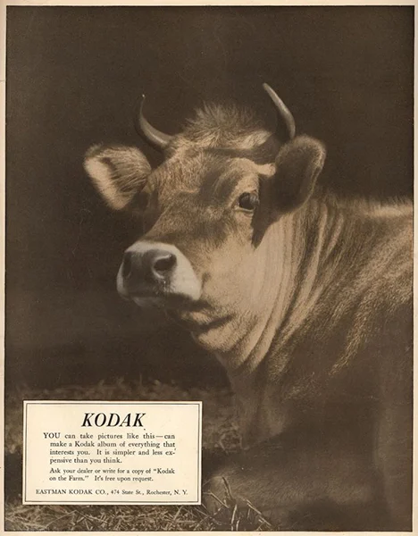The Evolution of the Camera in 130 Years of Advertisements — Online ...