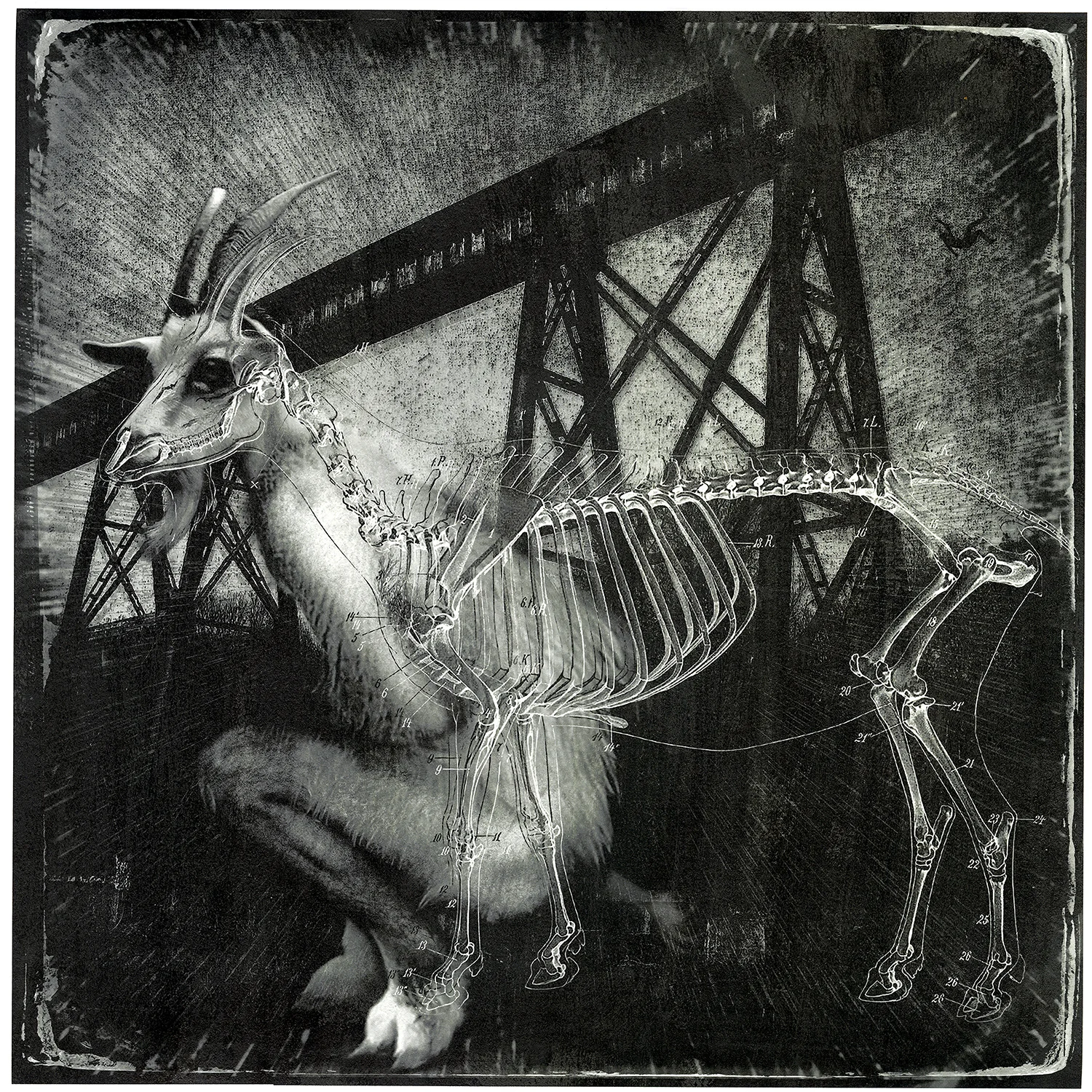 Witchcraft and the Appalachian Occult in Greg Banks’s Photography — Don ...