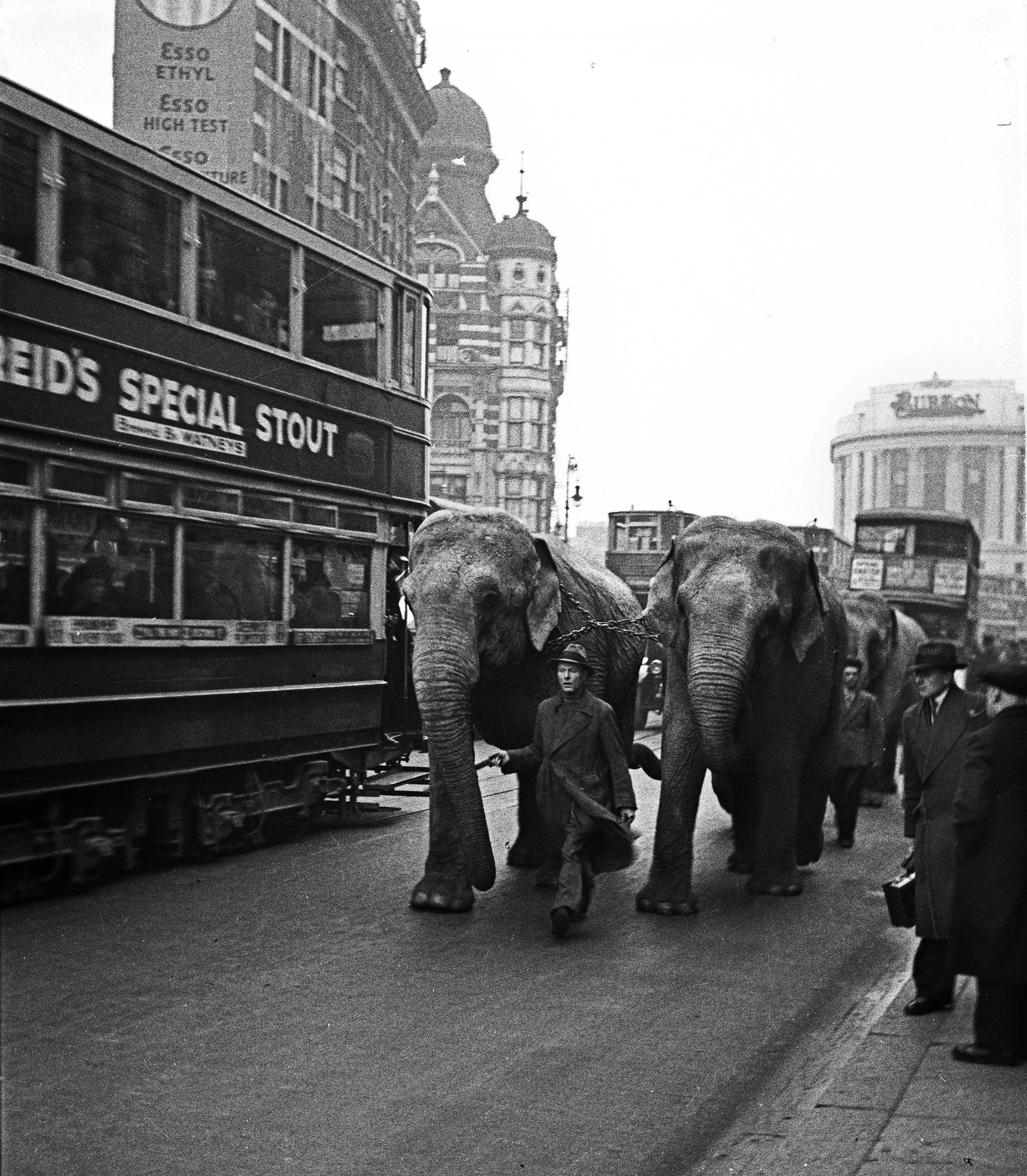 Attic Treasures: Newly Discovered Photographs of Pre-War London ...