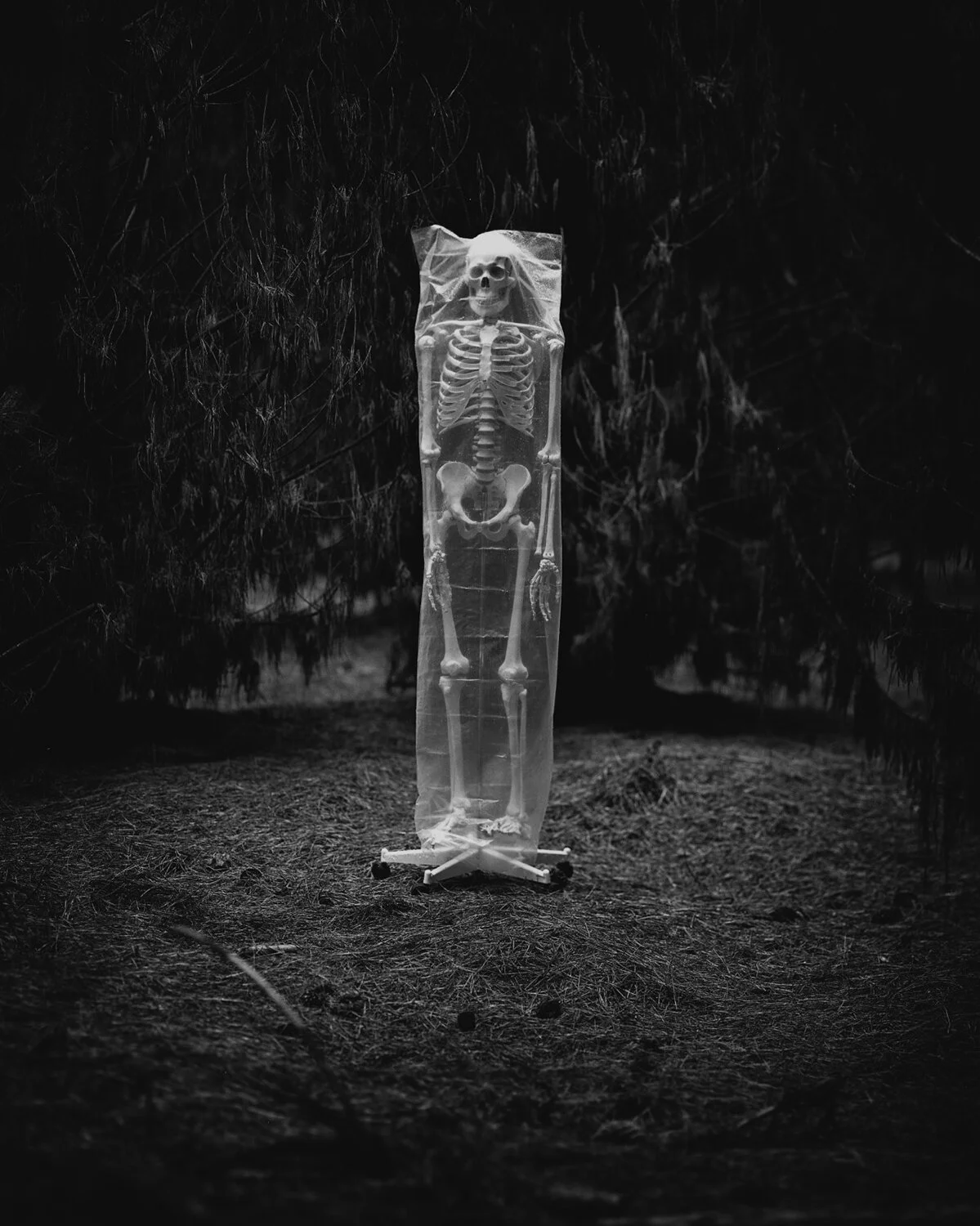 Alex Gard — Photo of the Day - Don't Take Pictures