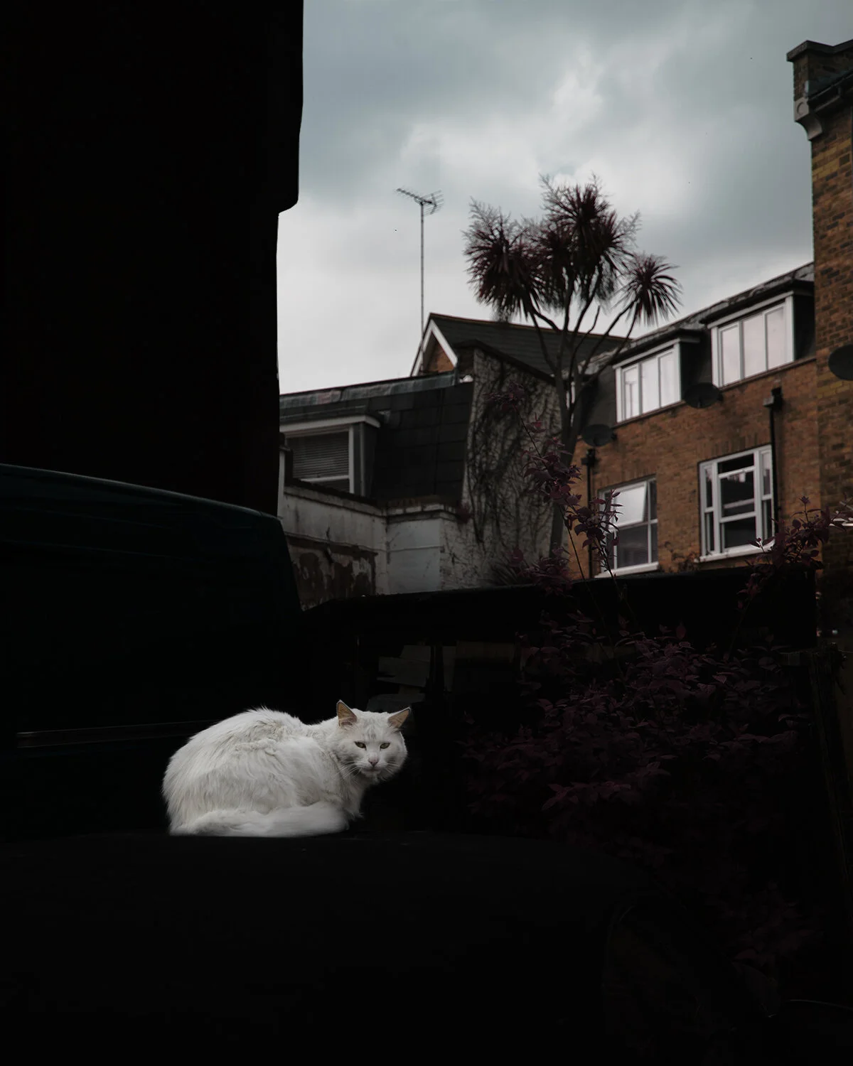 Daniel Bucci — Photo of the Day - Don't Take Pictures