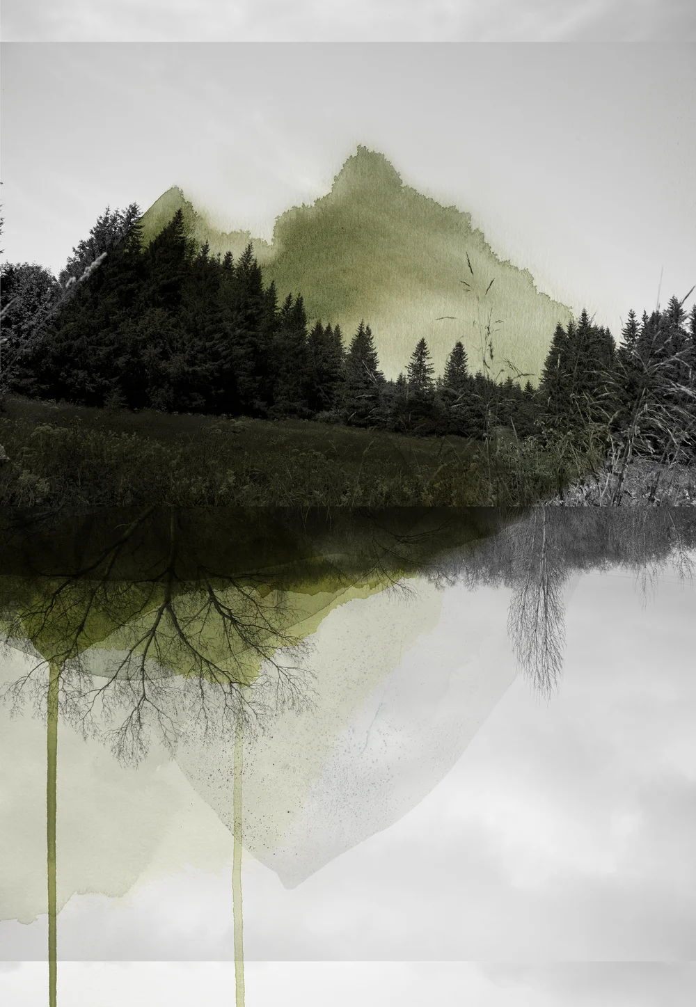 Fabienne Rivory: On the Digital-Analog — Online - Don't Take Pictures