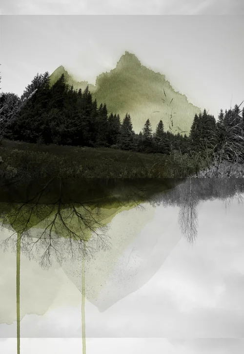 Fabienne Rivory: On the Digital-Analog — Online - Don't Take Pictures