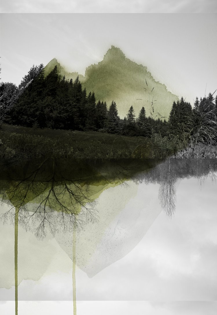 Fabienne Rivory: On the Digital-Analog — Online - Don't Take Pictures