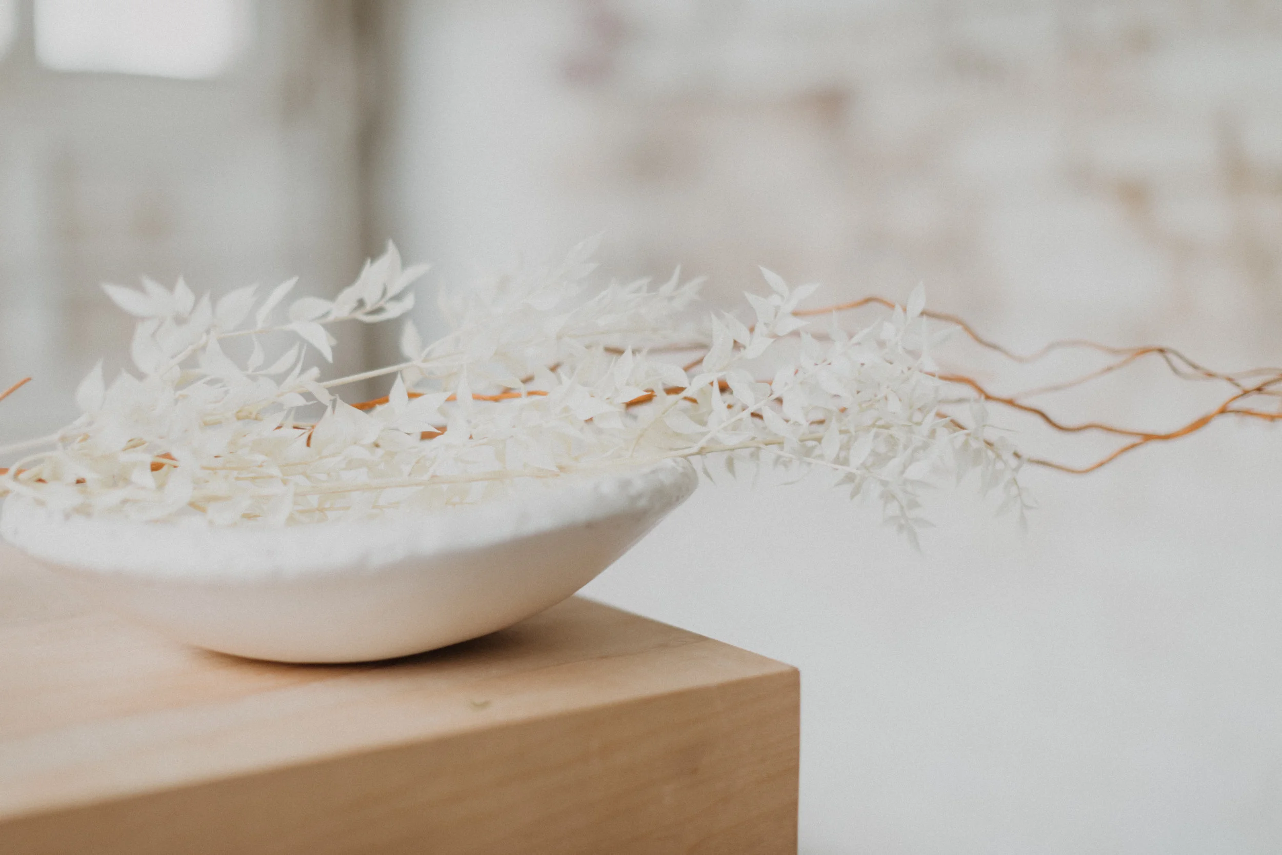 Contemporary ceramics and painting — Erica Iman