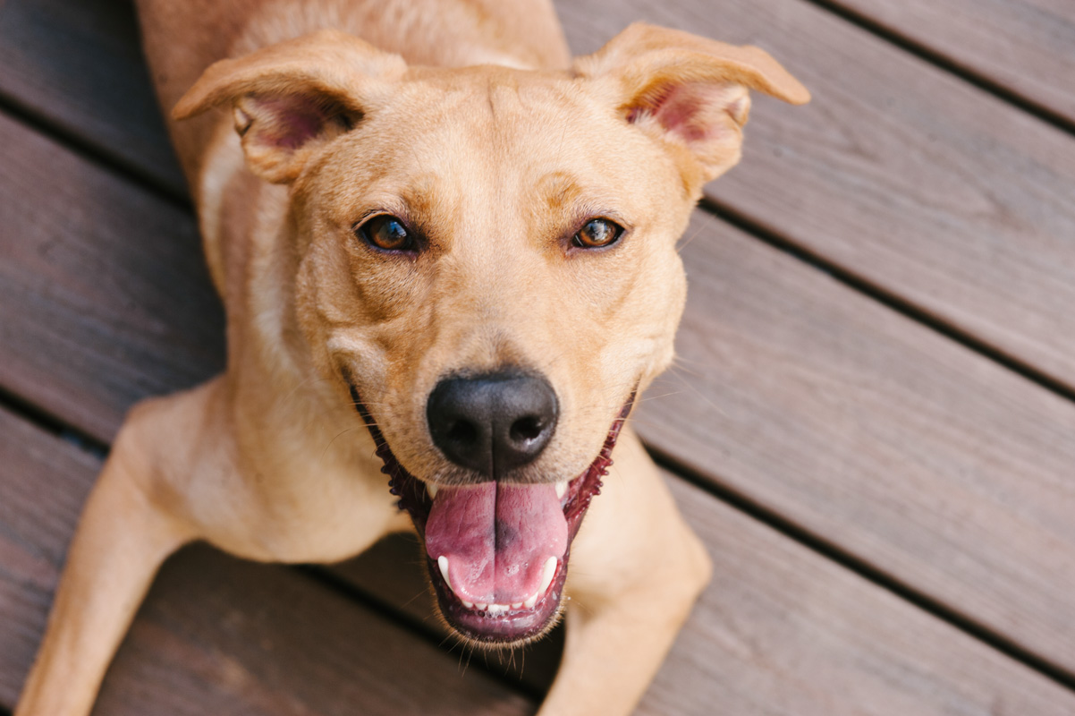 Baby Ruby — Lee Brown Photography