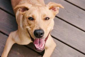 Baby Ruby — Lee Brown Photography