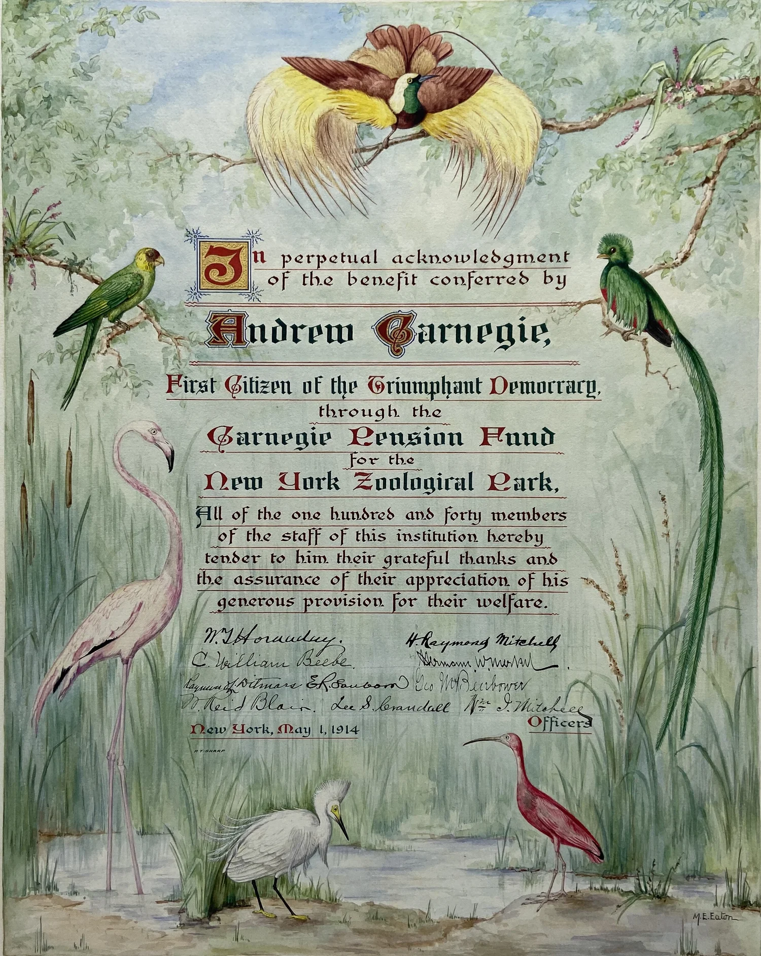 Paper Birds — Andrew Carnegie Birthplace Museum