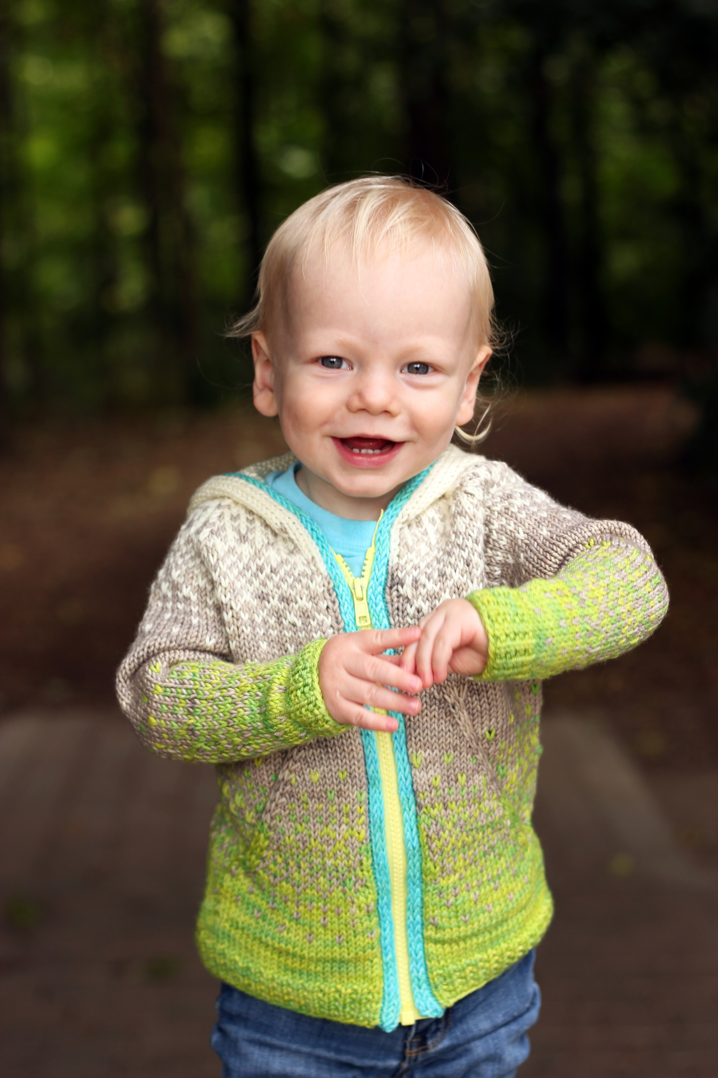 Zesty R&R Hoodie — Tanis Fiber Arts