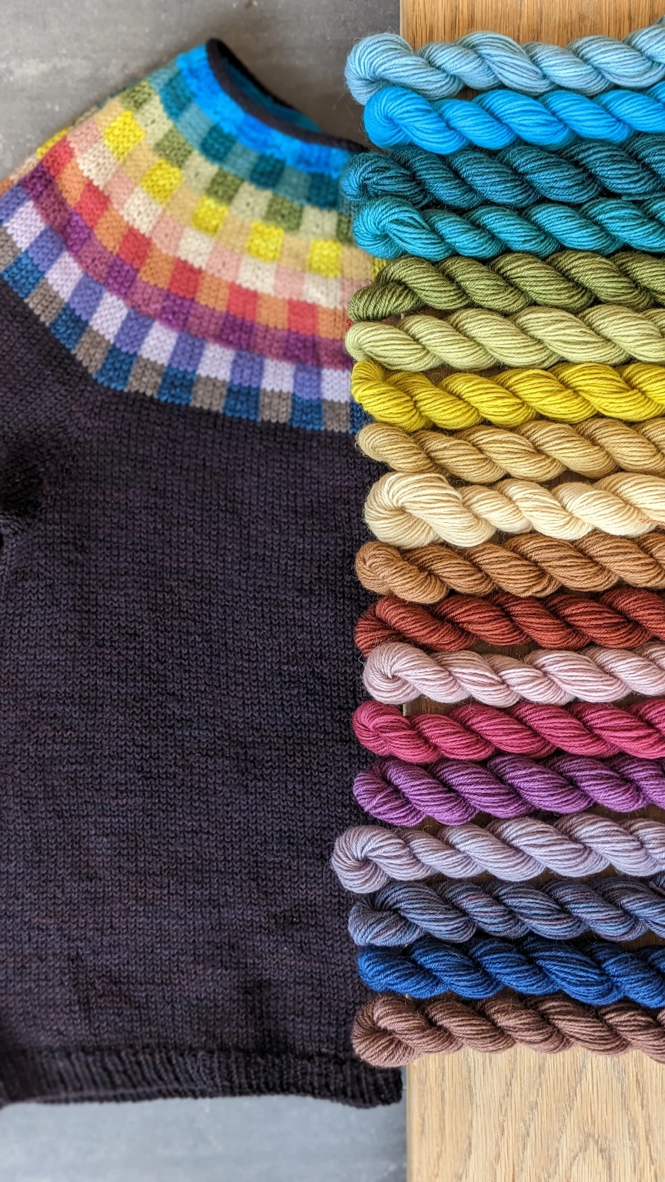 Paul Klee Sweater Kit — Tanis Fiber Arts