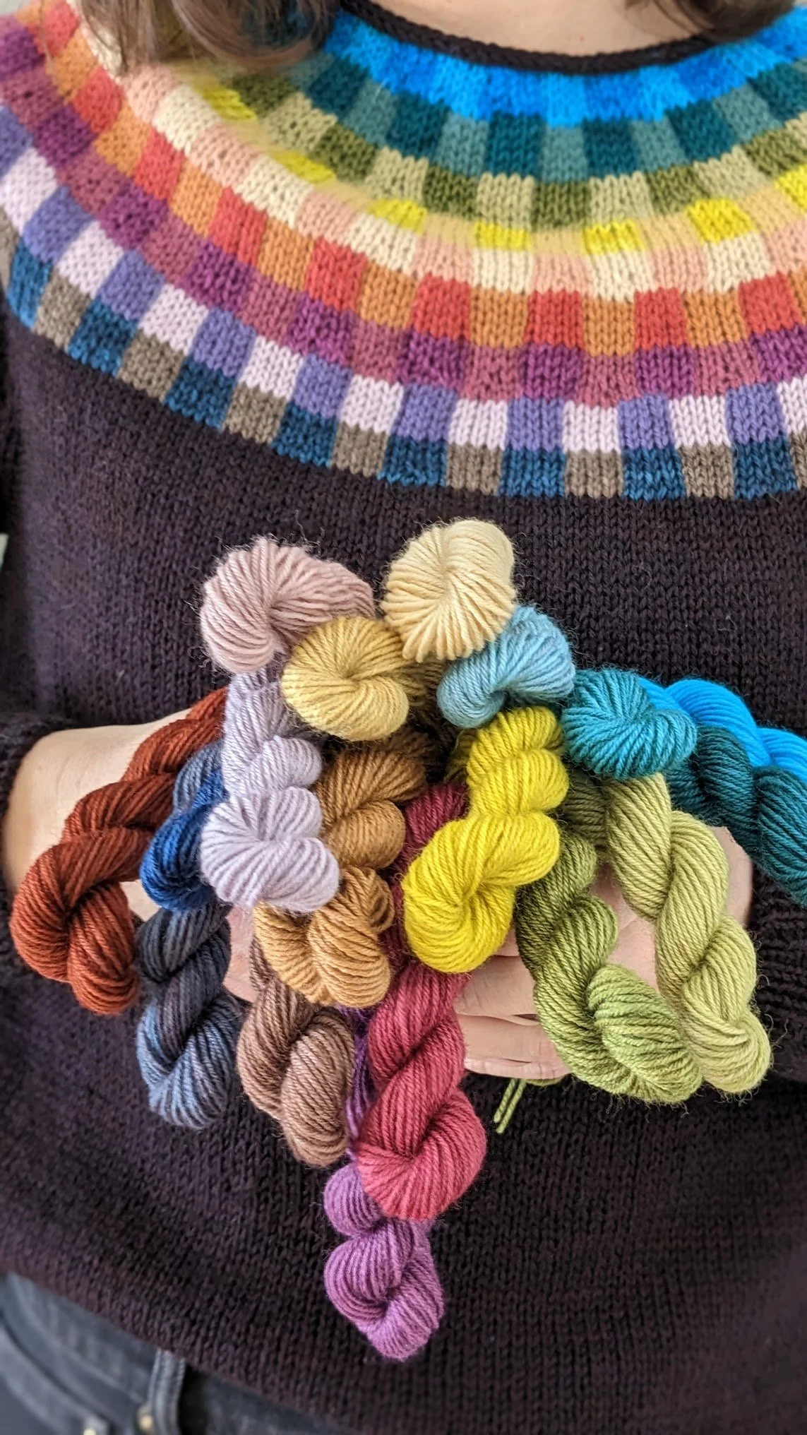 Paul Klee Mini Skeins — Tanis Fiber Arts