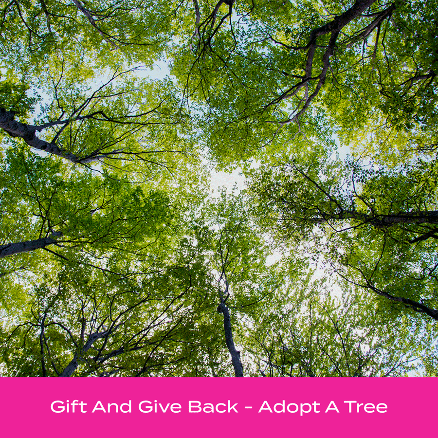 JANDO | Award Winning Irish Printmakers | Art Prints Ireland